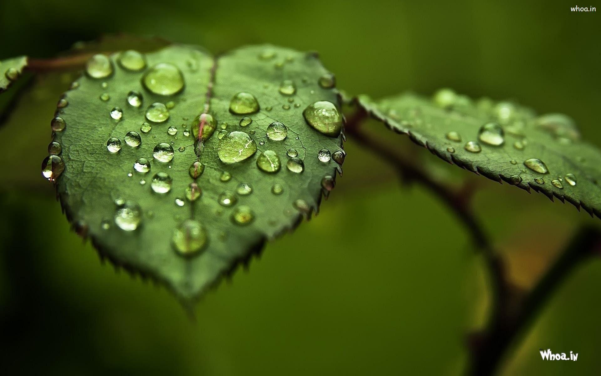 1900 X 1200 Desktop Wallpapers - Top Free 1900 X 1200 Desktop ...