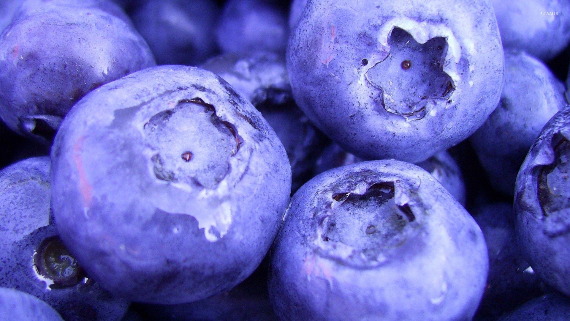 1920 X 1080 Blueberry Wallpapers - Top Free 1920 X 1080 Blueberry ...