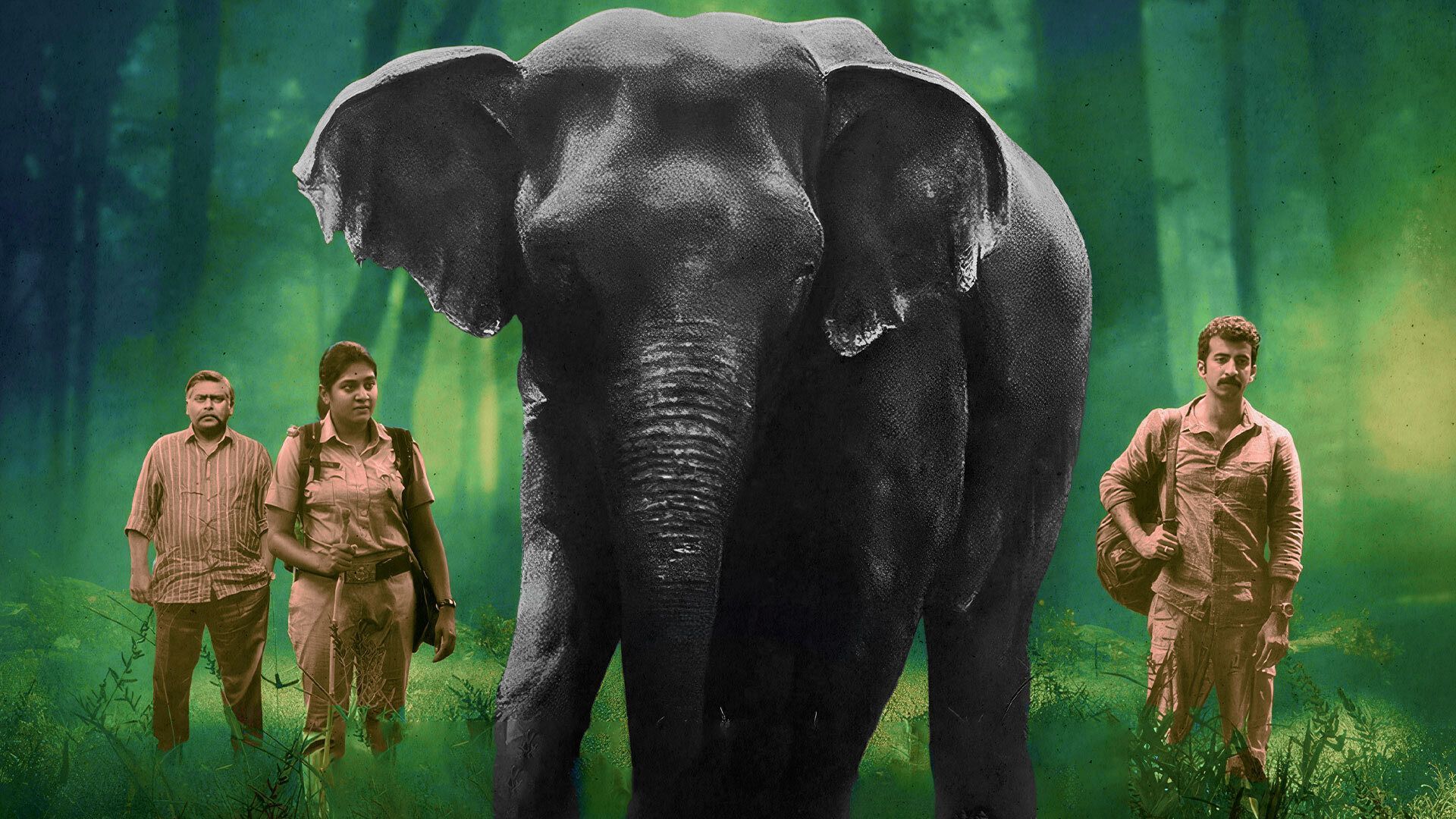 Poacher Wallpapers - Top Free Poacher Backgrounds - WallpaperAccess