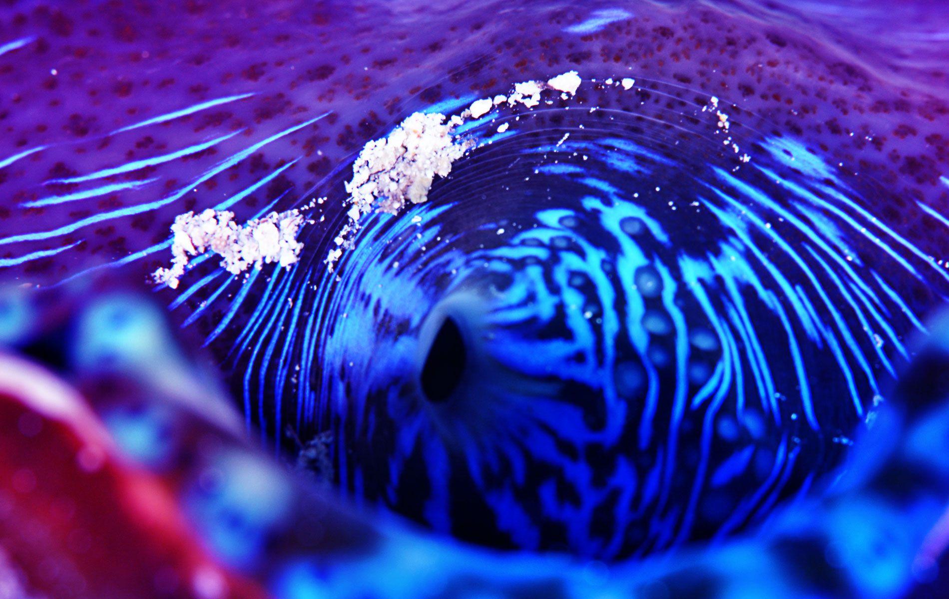 1900 X 1200 Desktop Wallpapers - Top Free 1900 X 1200 Desktop ...