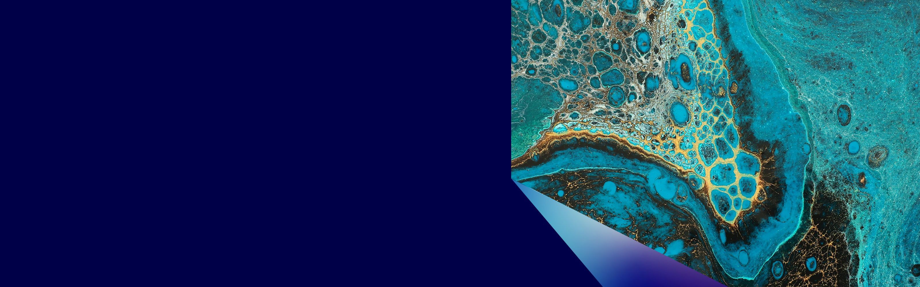 Cognizant Wallpapers - Top Free Cognizant Backgrounds - WallpaperAccess