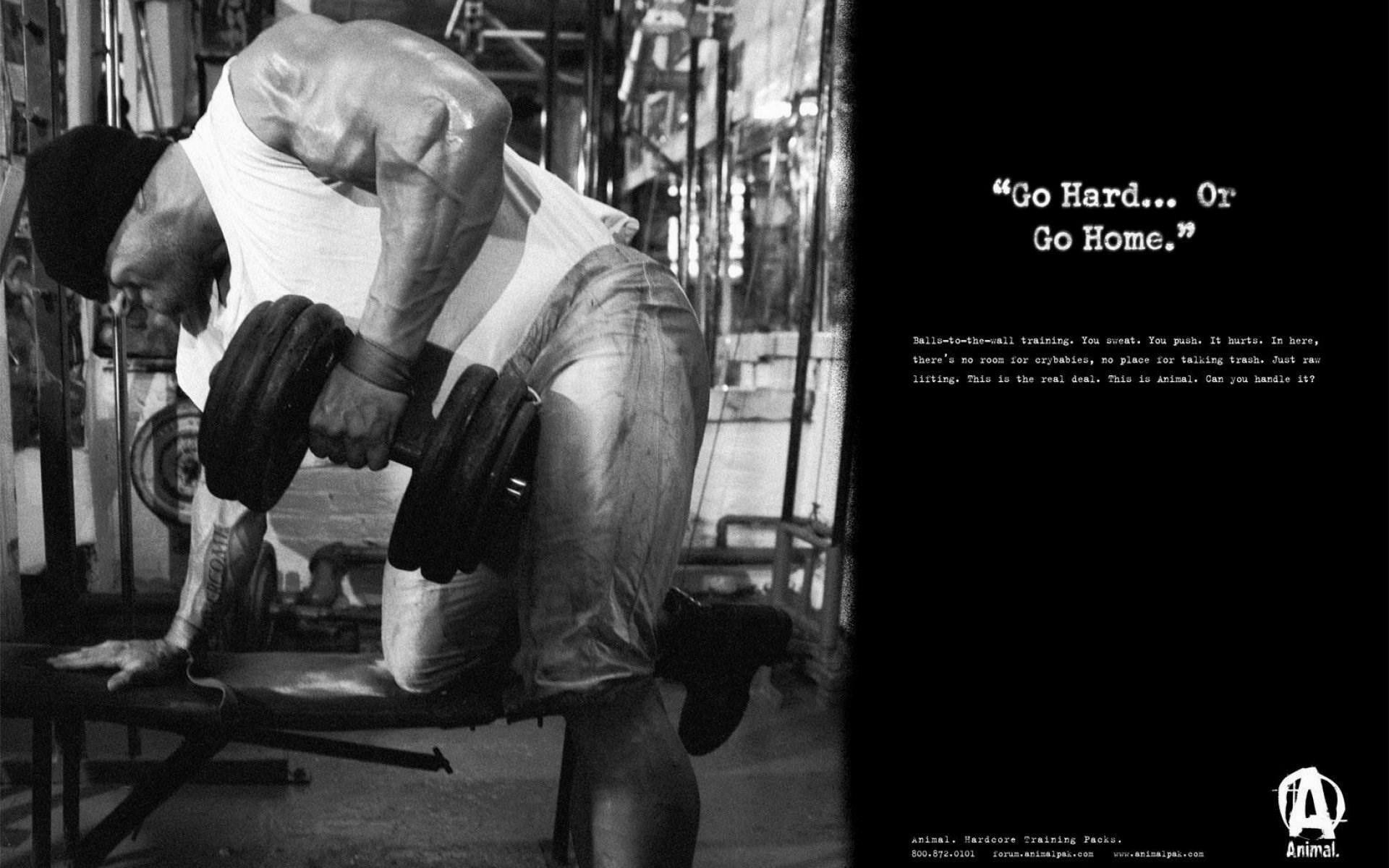 Weight Lifting Wallpapers - Top Free Weight Lifting Backgrounds ...