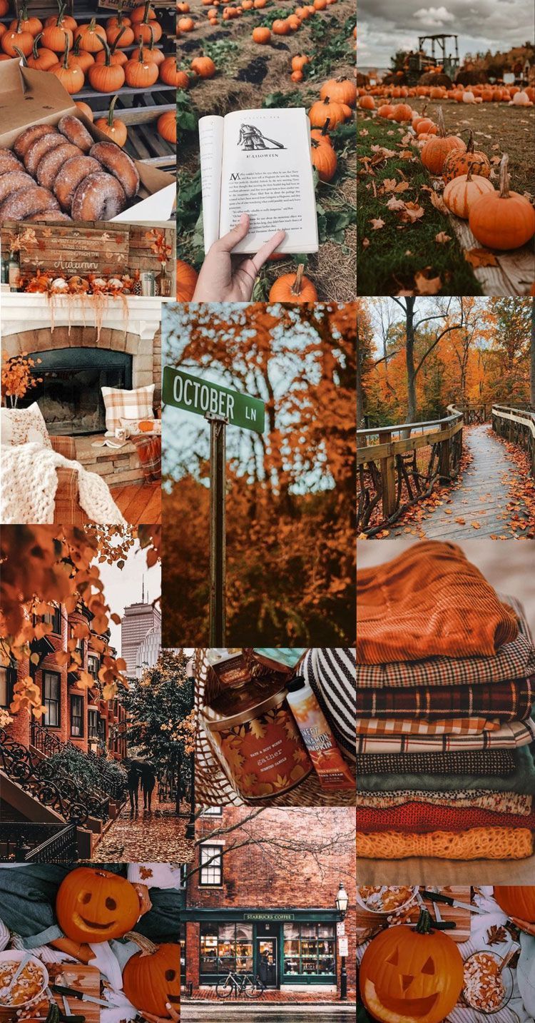 Aesthetic Fall Collage Wallpapers - Top Free Aesthetic Fall Collage ...