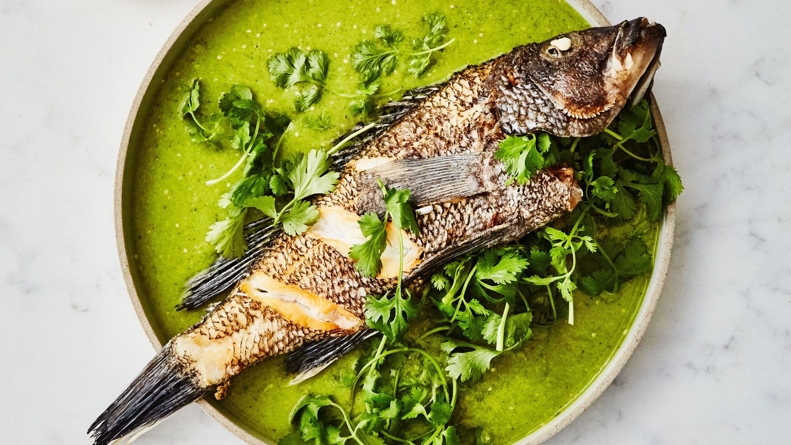 Fish Dish Wallpapers - Top Free Fish Dish Backgrounds - WallpaperAccess