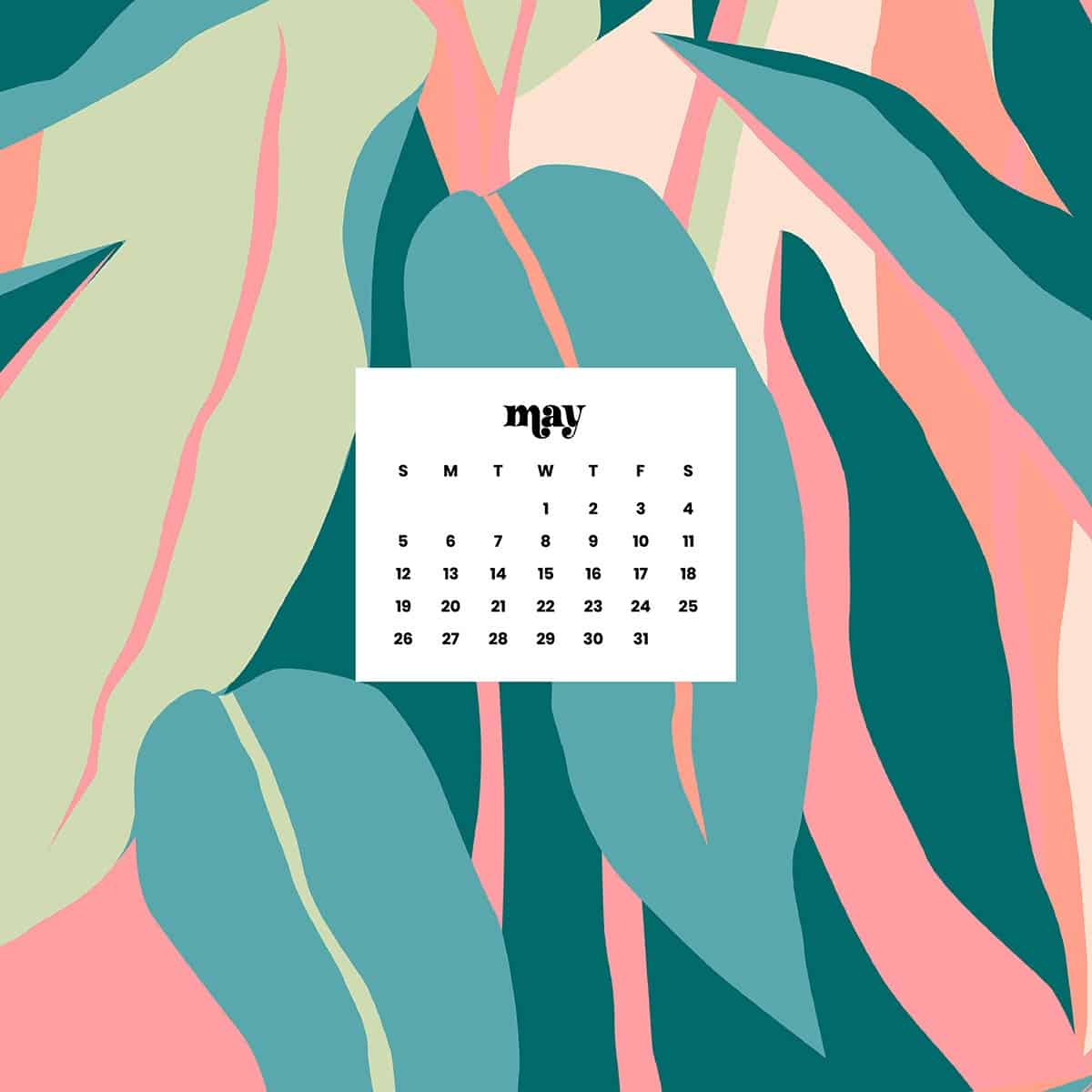 May 2024 Calendar Wallpapers - Top Free May 2024 Calendar Backgrounds ...