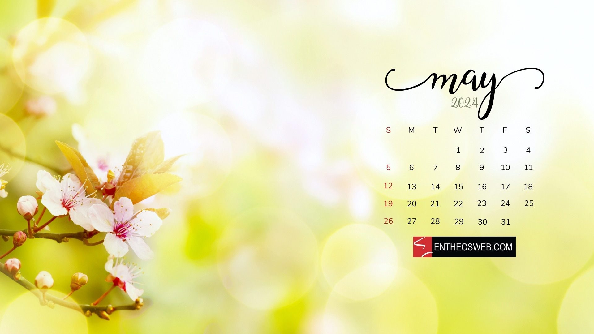 May 2024 Calendar Wallpapers - Top Free May 2024 Calendar Backgrounds - WallpaperAccess