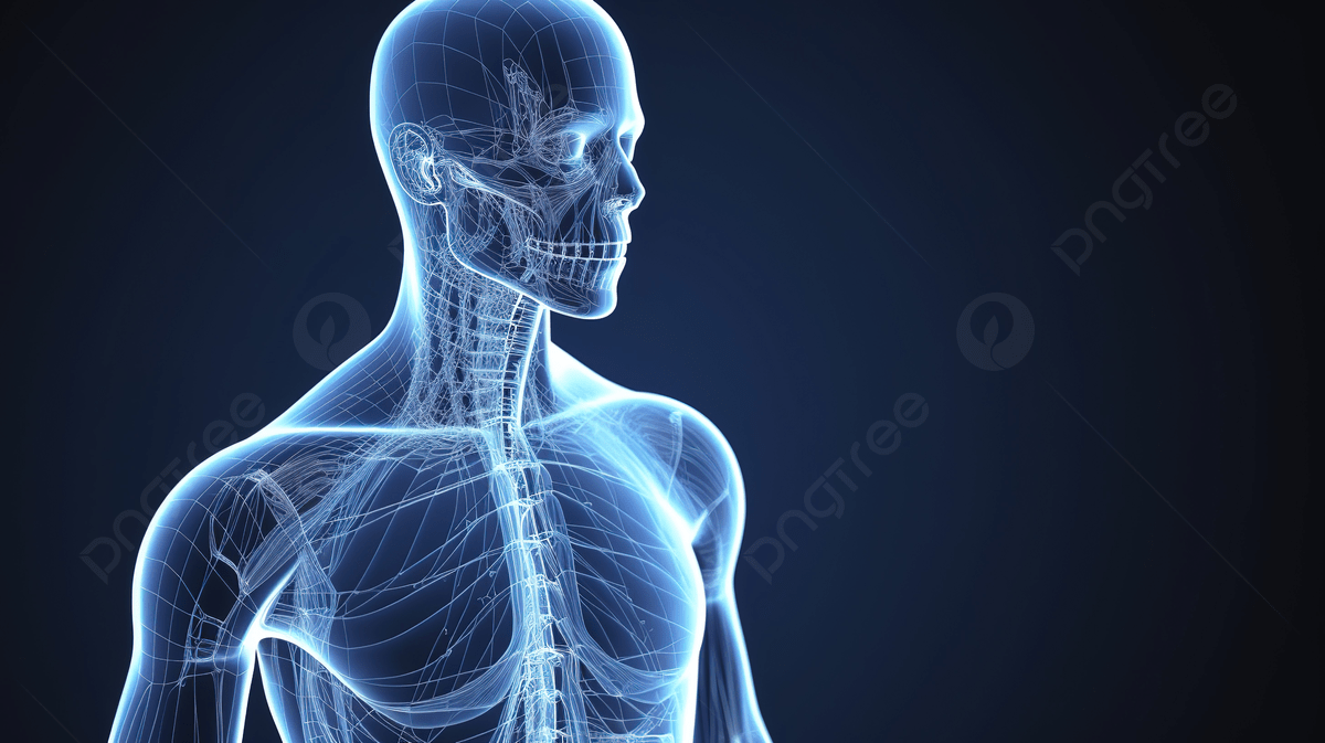 Body Parts Wallpapers - Top Free Body Parts Backgrounds - WallpaperAccess