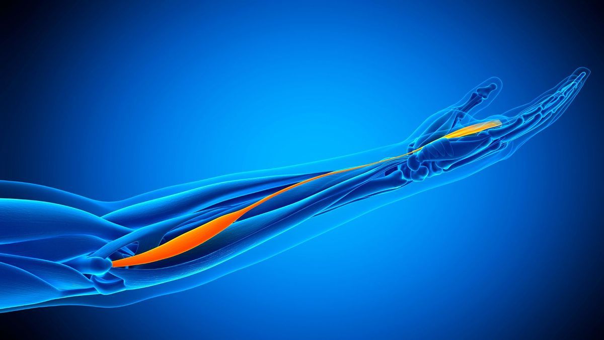 Body Parts Wallpapers - Top Free Body Parts Backgrounds - WallpaperAccess