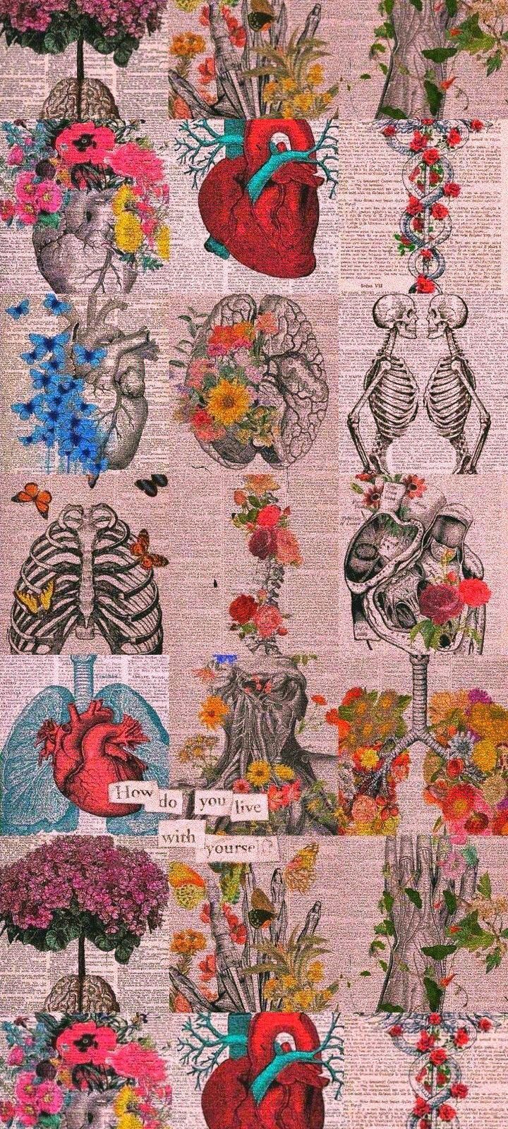 Body Parts Wallpapers - Top Free Body Parts Backgrounds - WallpaperAccess