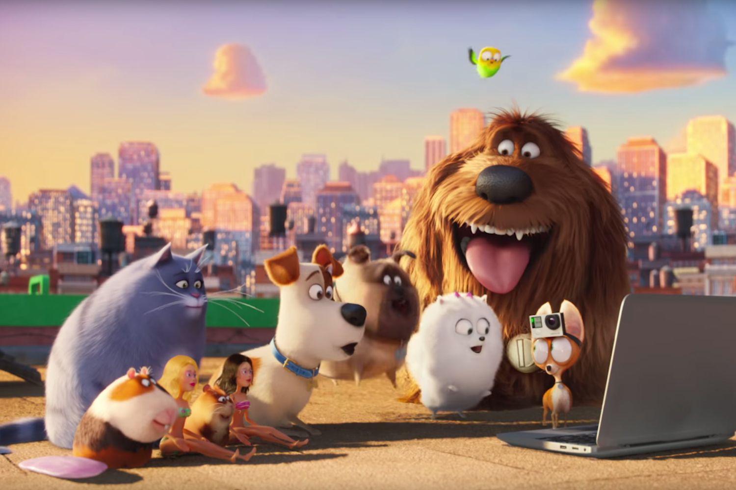 Secret Life Of Pets Wallpapers - Top Free Secret Life Of Pets ...