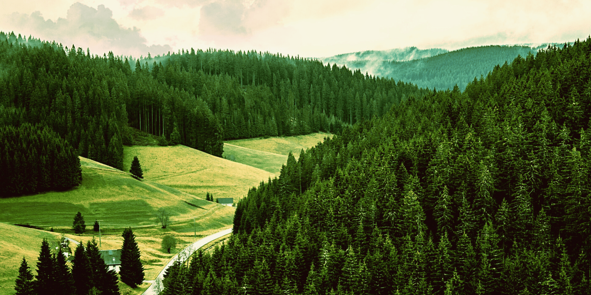 Schwarzwald Wallpapers - Top Free Schwarzwald Backgrounds - WallpaperAccess