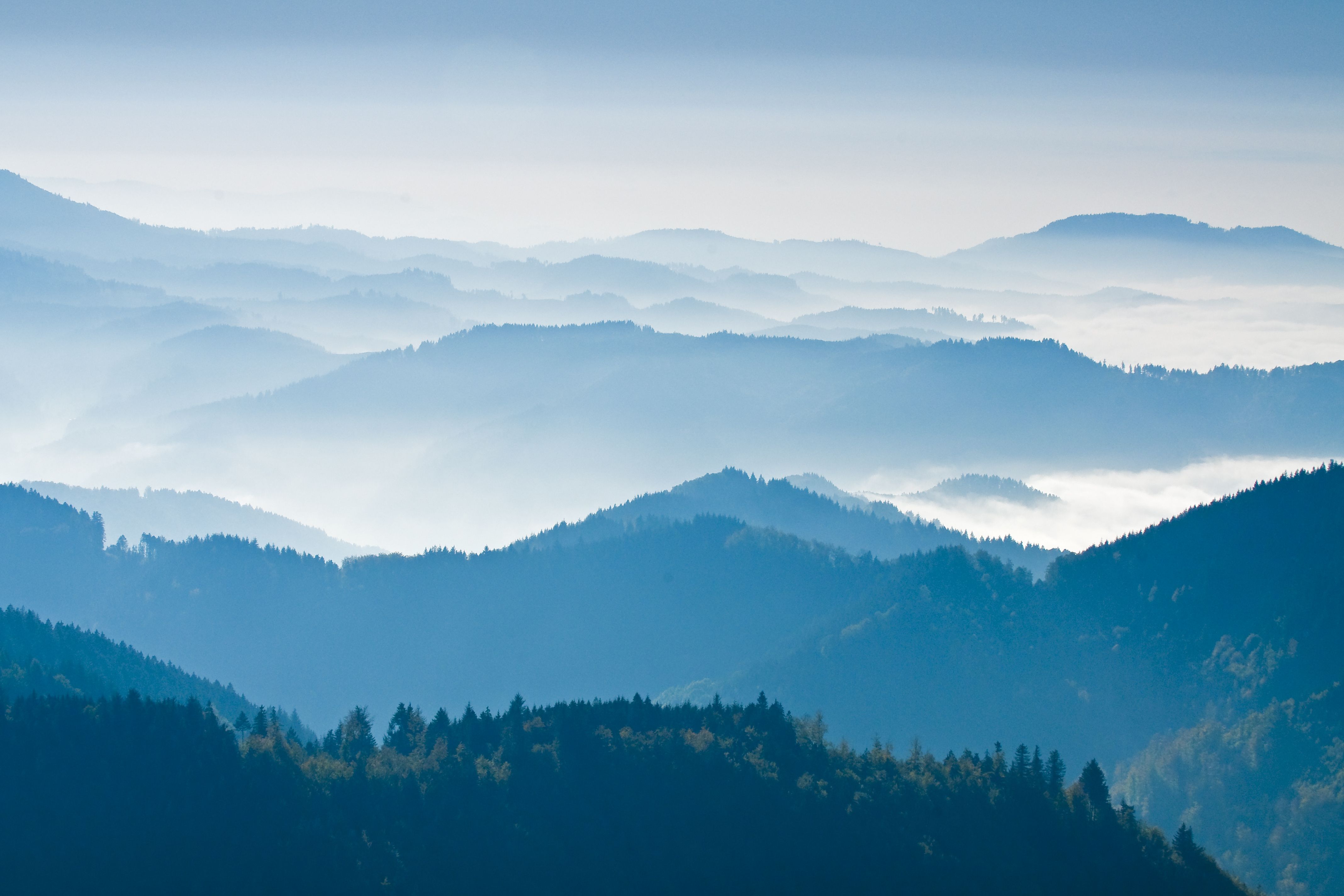 Schwarzwald Wallpapers - Top Free Schwarzwald Backgrounds - WallpaperAccess