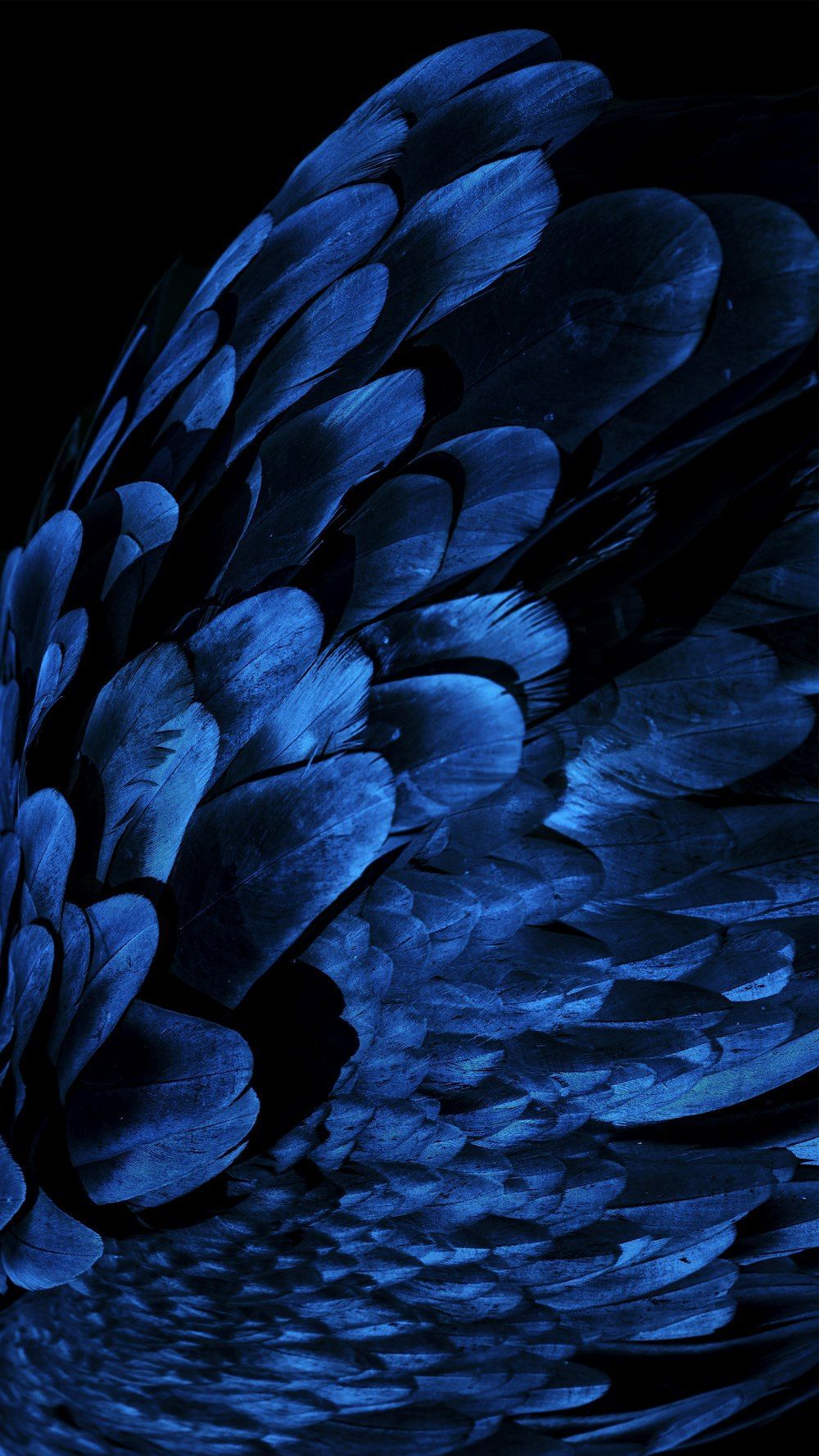Oled Nature Wallpapers - Top Free Oled Nature Backgrounds - WallpaperAccess