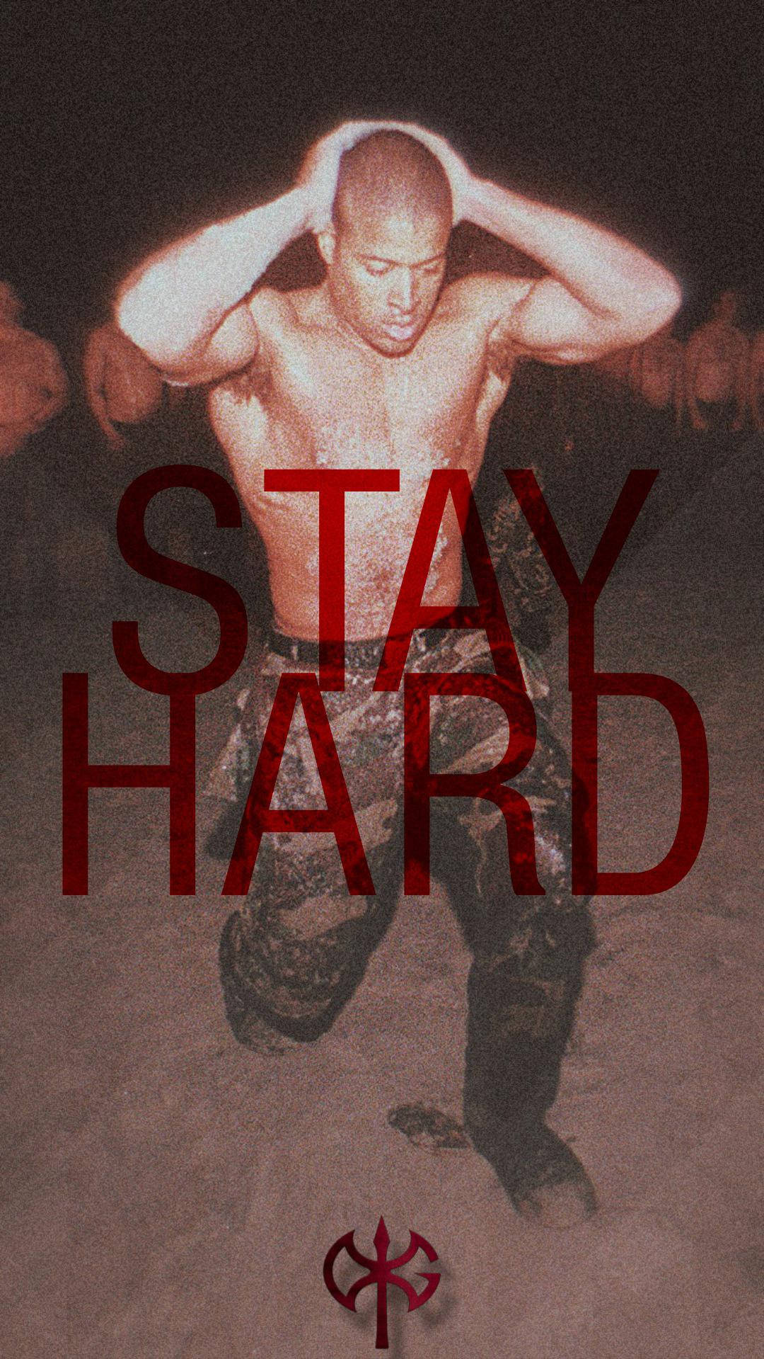 David Googins Wallpapers - Top Free David Googins Backgrounds - WallpaperAccess