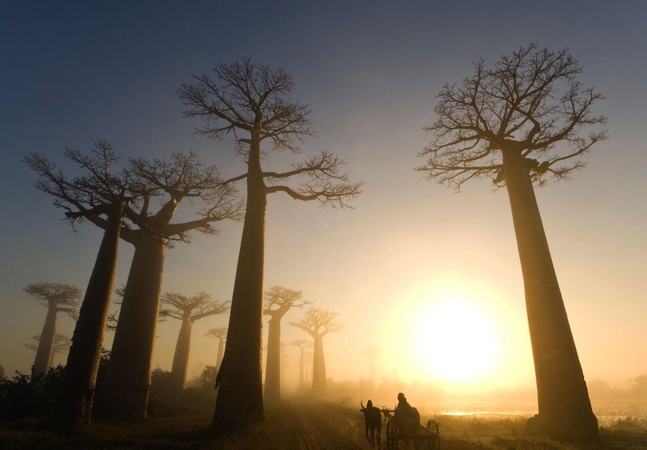 Madagascar Landscape Wallpapers - Top Free Madagascar Landscape ...