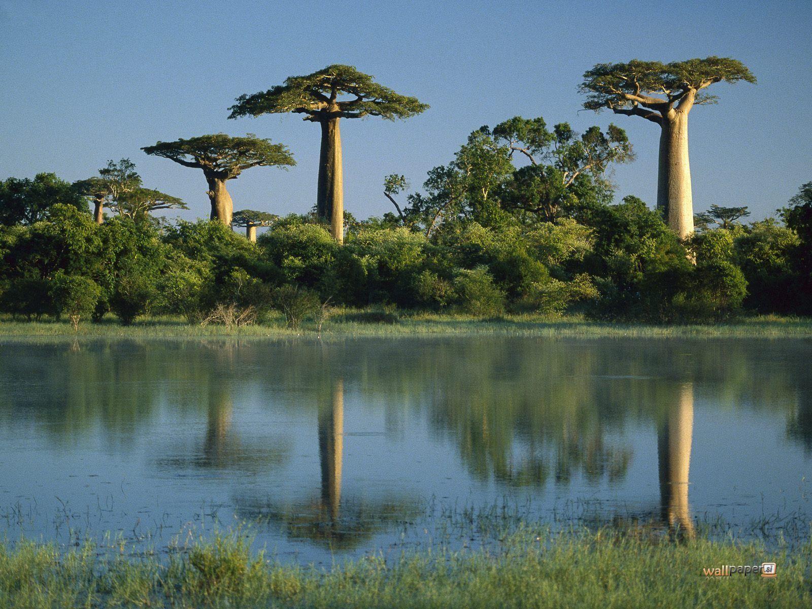 Madagascar Landscape Wallpapers - Top Free Madagascar Landscape ...