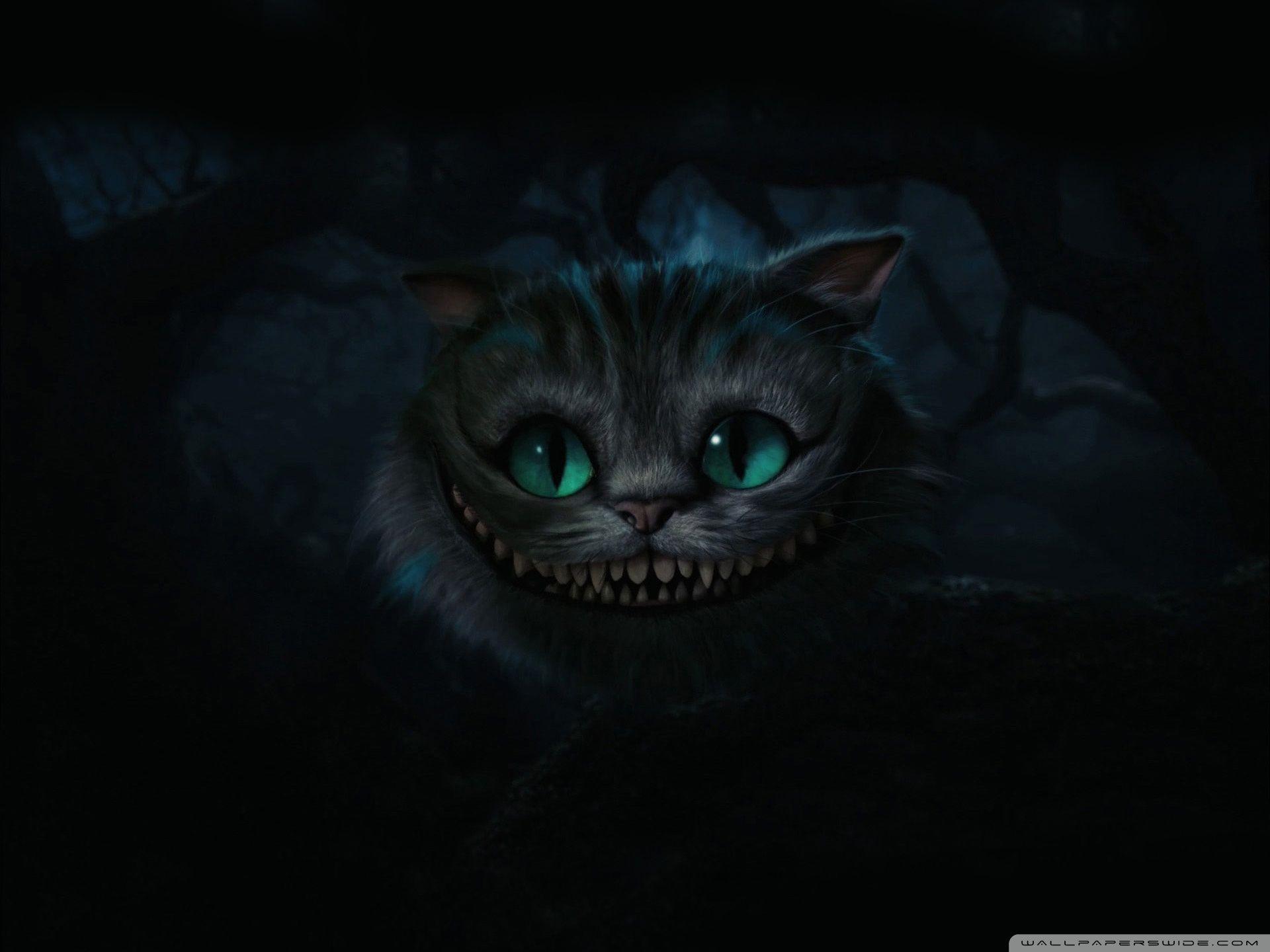 Smiling Cat Wallpapers - Top Free Smiling Cat Backgrounds - WallpaperAccess