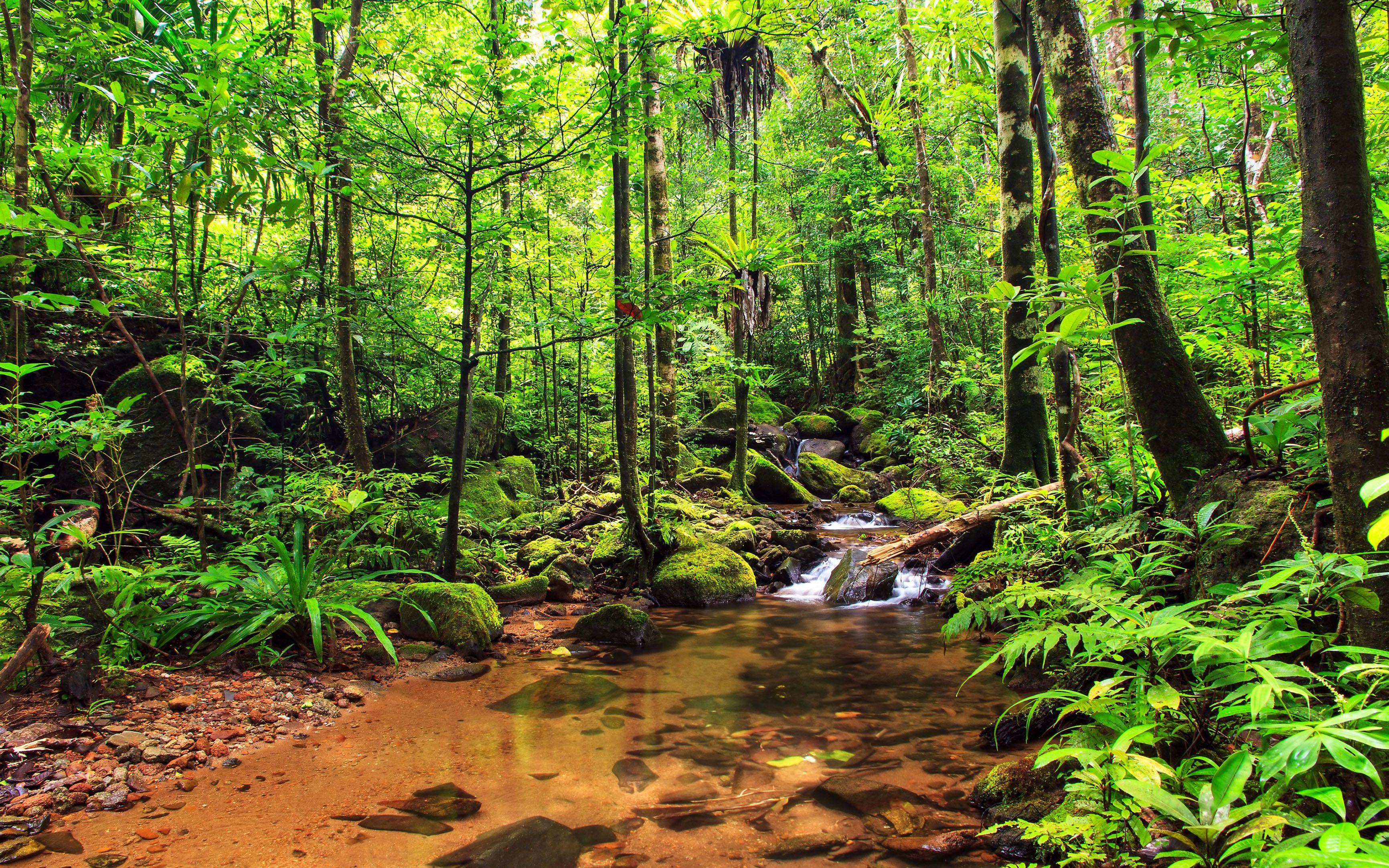 Madagascar Landscape Wallpapers - Top Free Madagascar Landscape ...