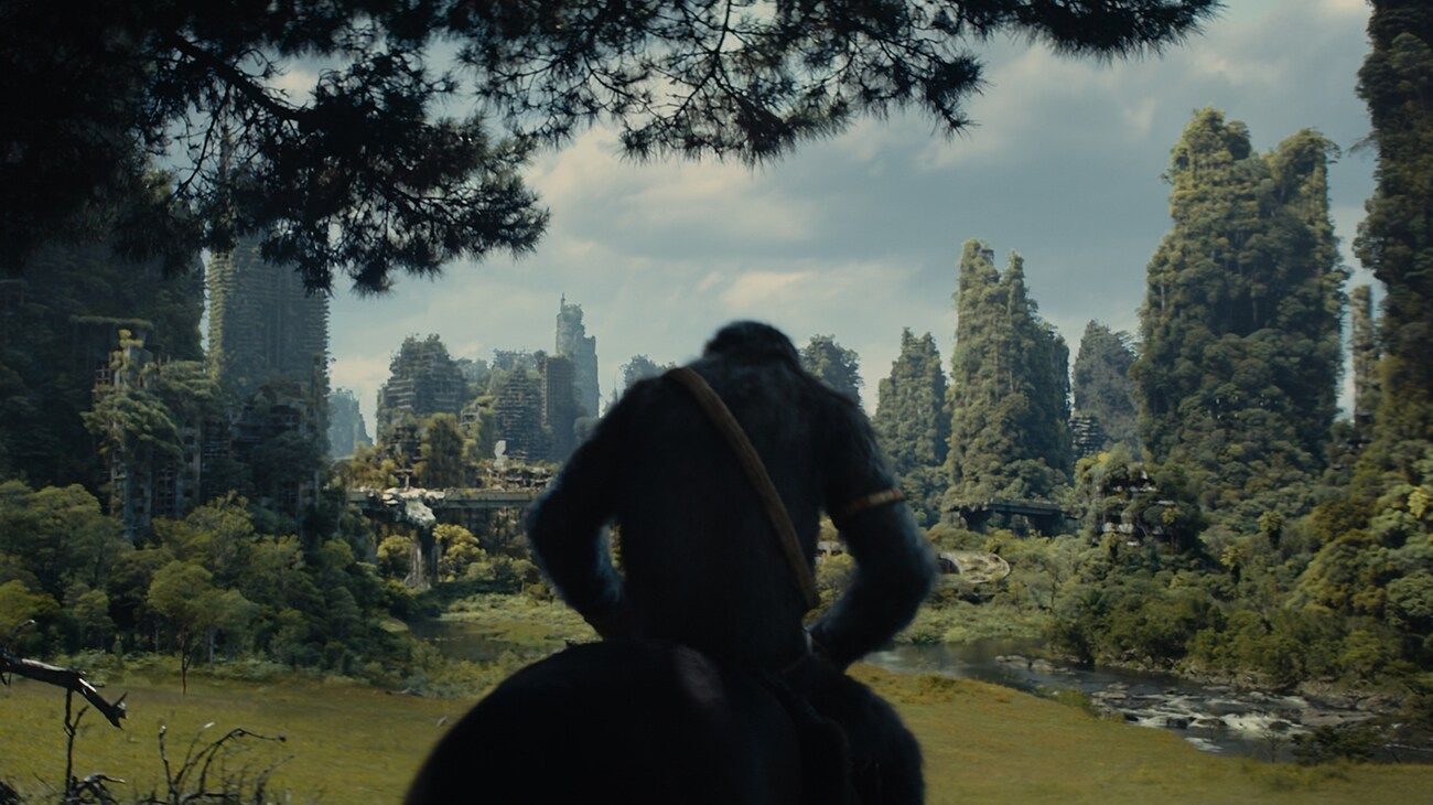 Kingdom Of The Planet Of The Apes Wallpapers - Top Free Kingdom Of The ...