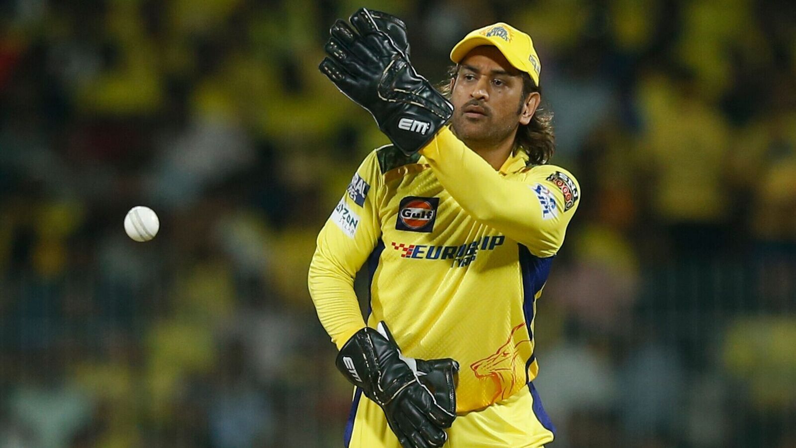 CSK 2024 Wallpapers - Top Free CSK 2024 Backgrounds - WallpaperAccess