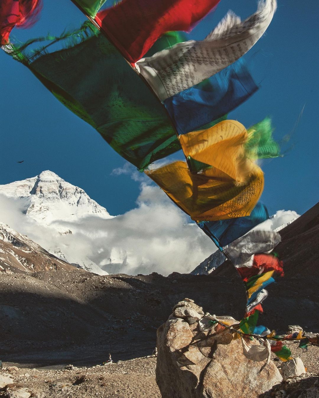 Om Mani Padme Hum Wallpapers - Top Free Om Mani Padme Hum Backgrounds ...