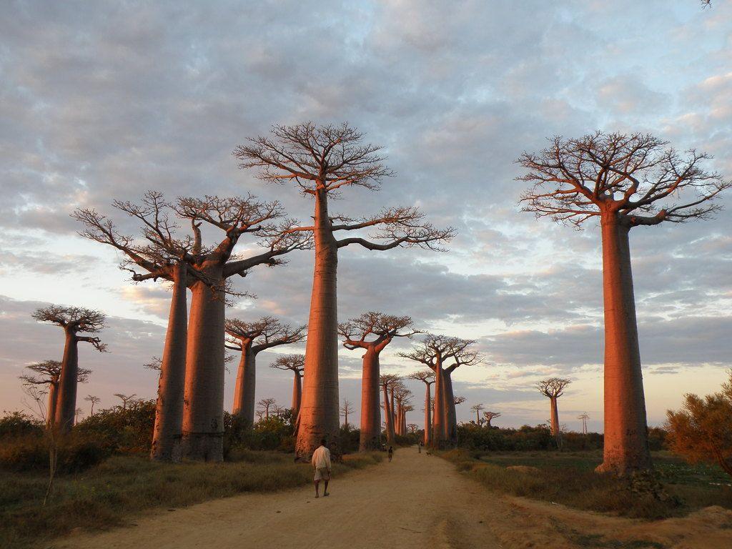 Madagascar Landscape Wallpapers - Top Free Madagascar Landscape ...