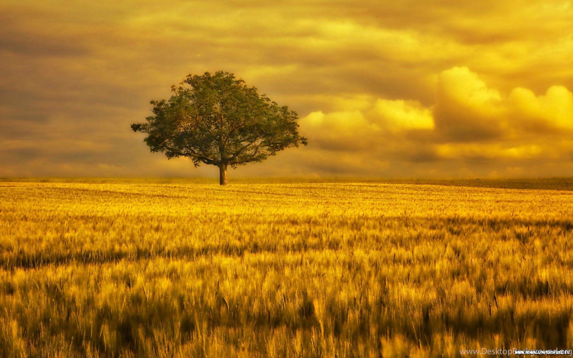 Make Tall Photo Desktop Background Virtbang