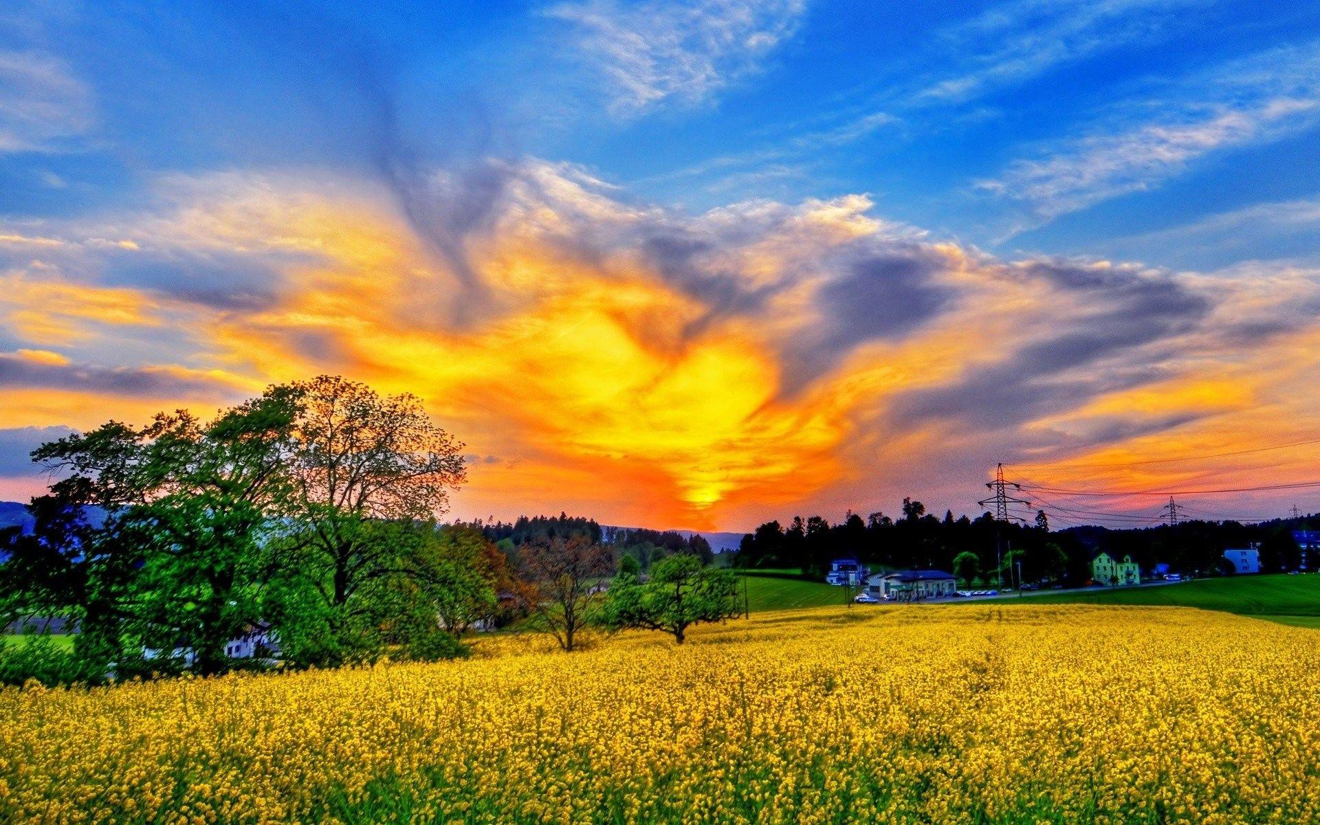 Large Nature Wallpapers - Top Free Large Nature Backgrounds ...