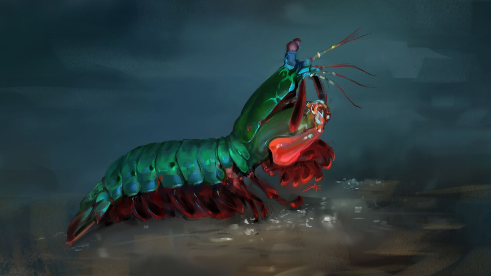 Mantis Shrimp Wallpapers - Top Free Mantis Shrimp Backgrounds ...