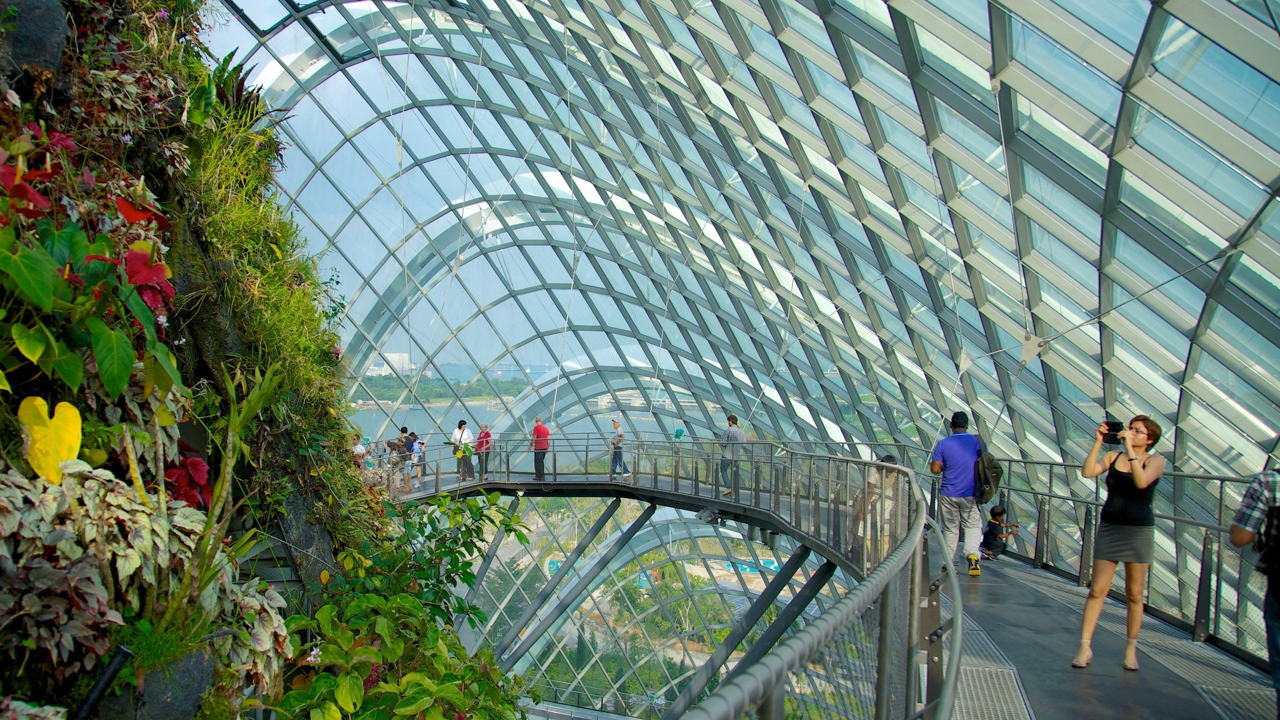 Gardens By The Bay Wallpapers - Top Free Gardens By The Bay Backgrounds ...