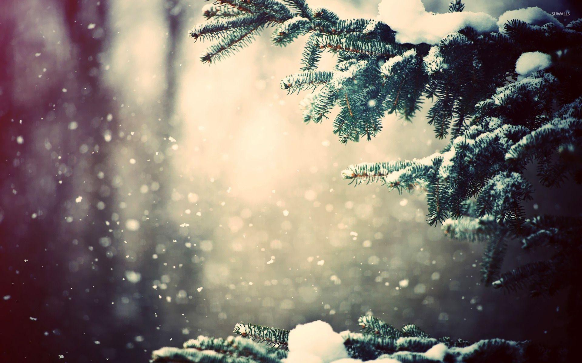 Winter Photography Wallpapers - Top Free Winter Photography Backgrounds ...