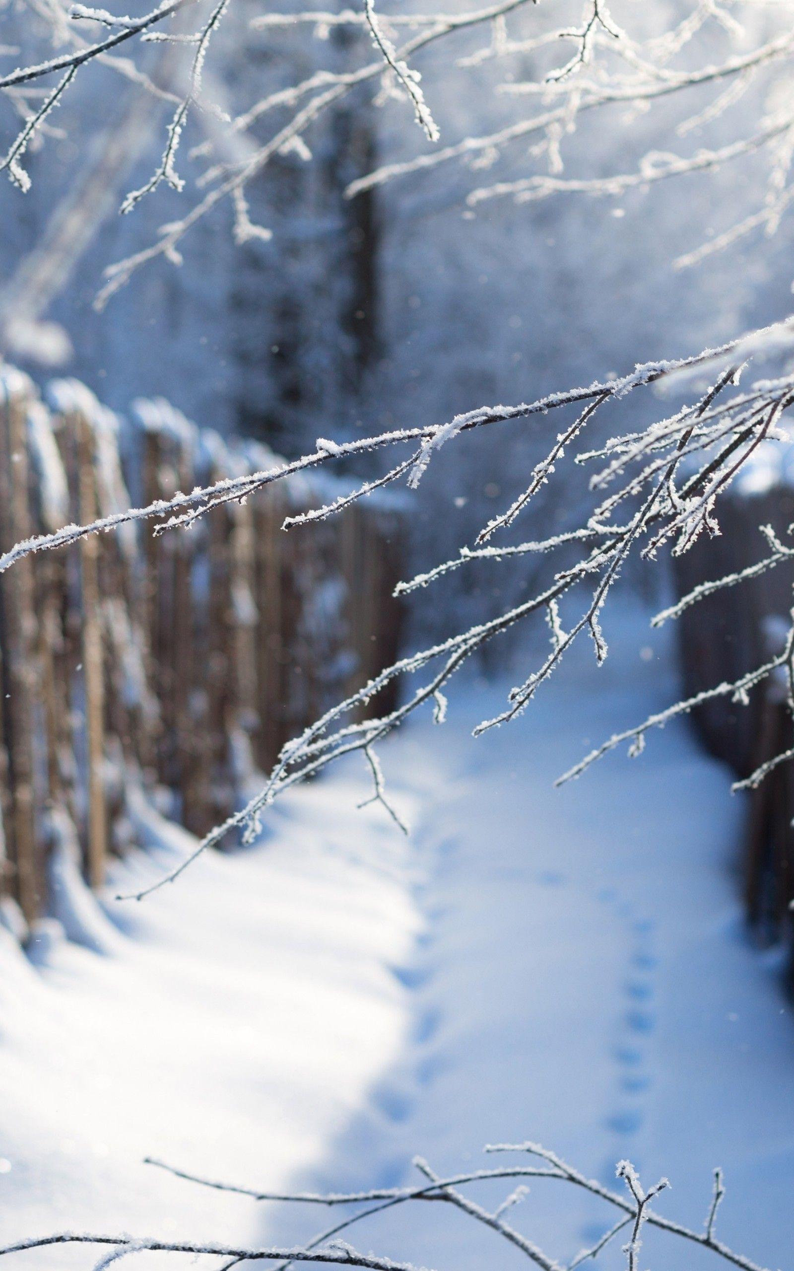 Winter Photography Wallpapers - Top Free Winter Photography Backgrounds ...