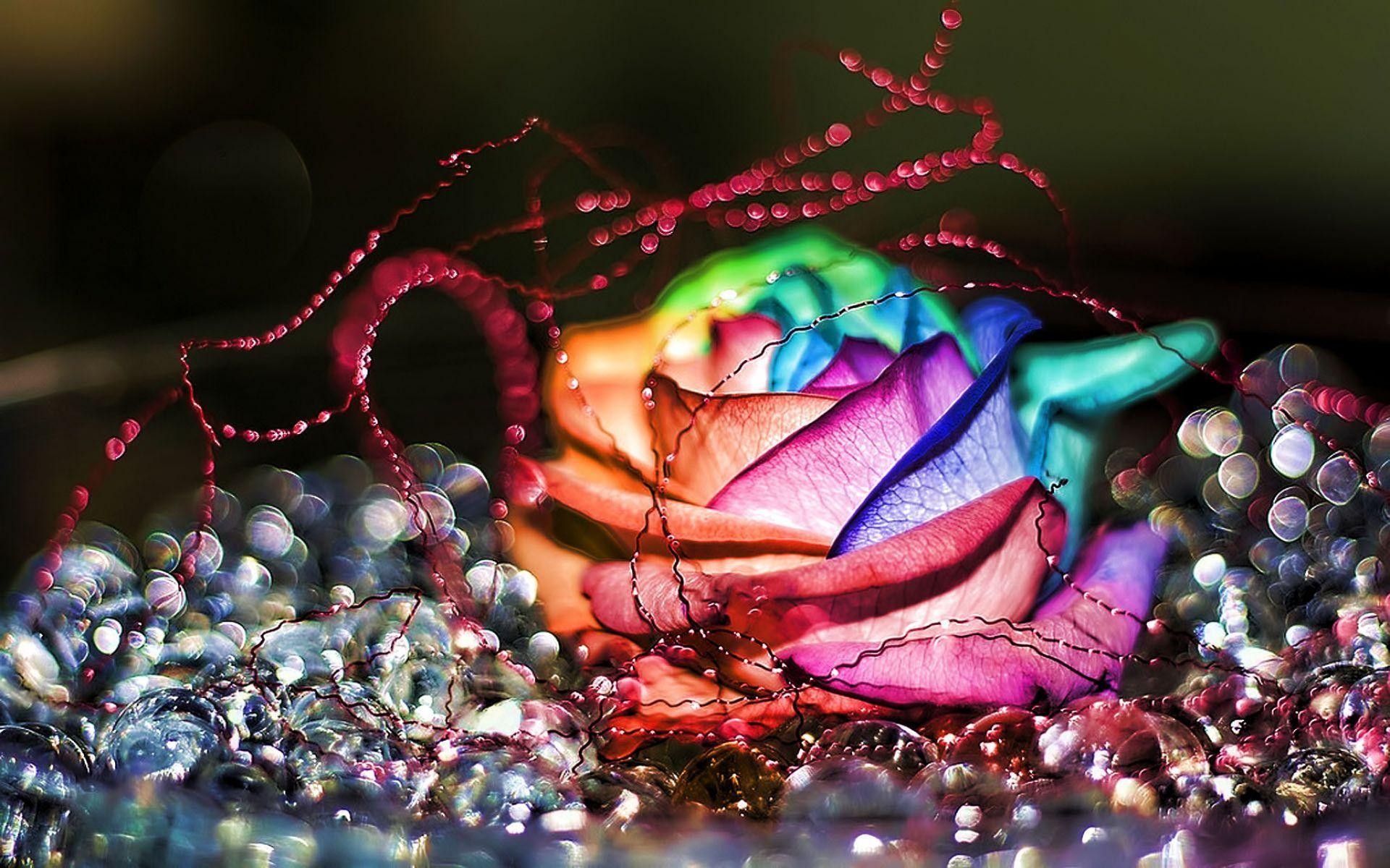 Photography Graphic Wallpapers - Top Free Photography Graphic ...