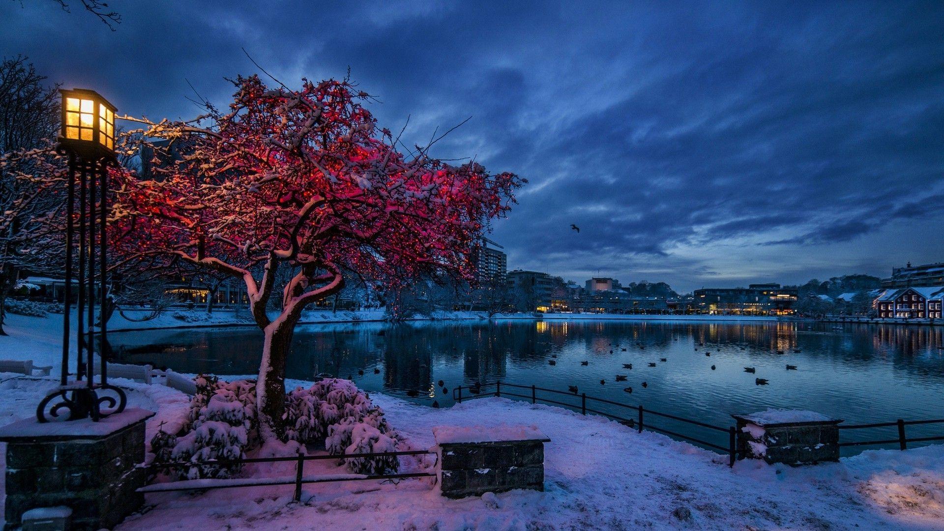 Winter Photography Wallpapers - Top Free Winter Photography Backgrounds ...
