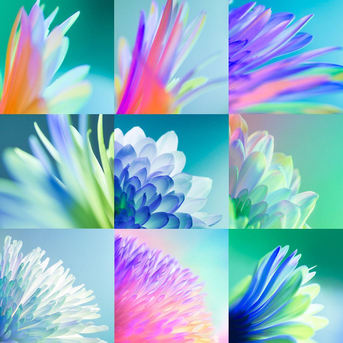 Photography Graphic Wallpapers - Top Free Photography Graphic ...