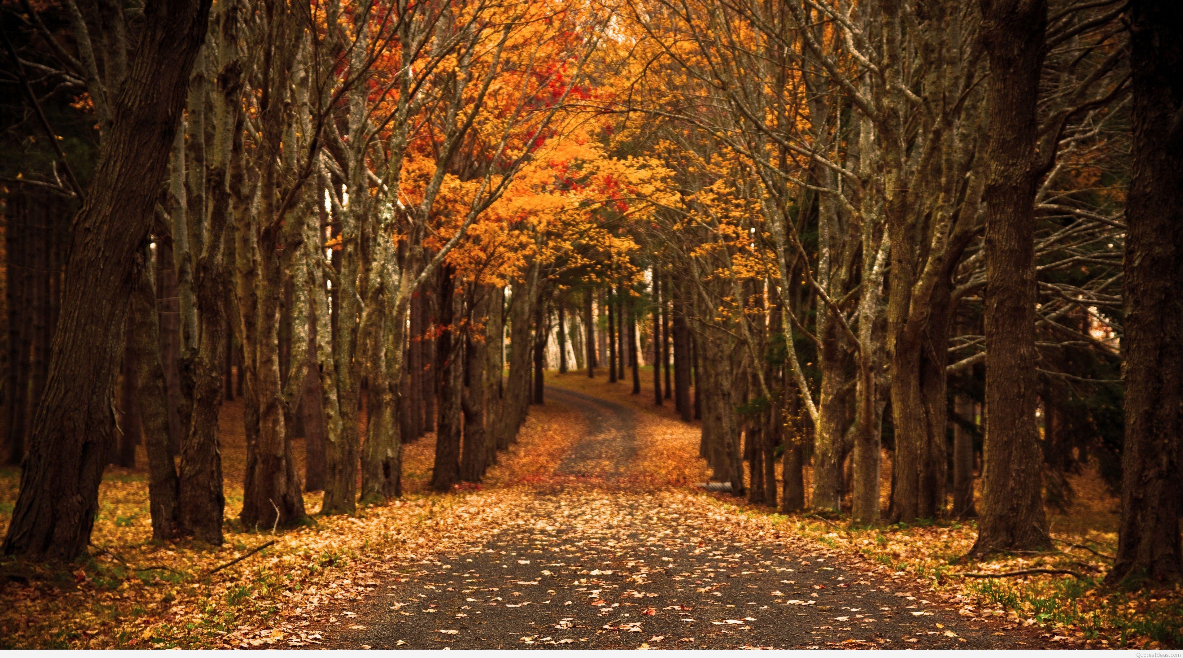 Rainy Autumn Wallpapers - Top Free Rainy Autumn Backgrounds ...