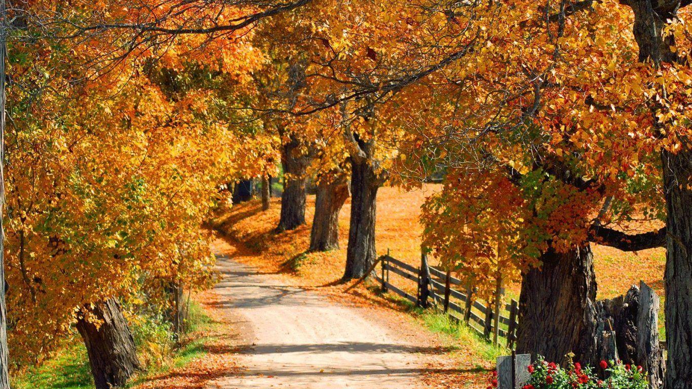 Vermont Autumn Scenes Desktop Wallpapers - Top Free Vermont Autumn ...