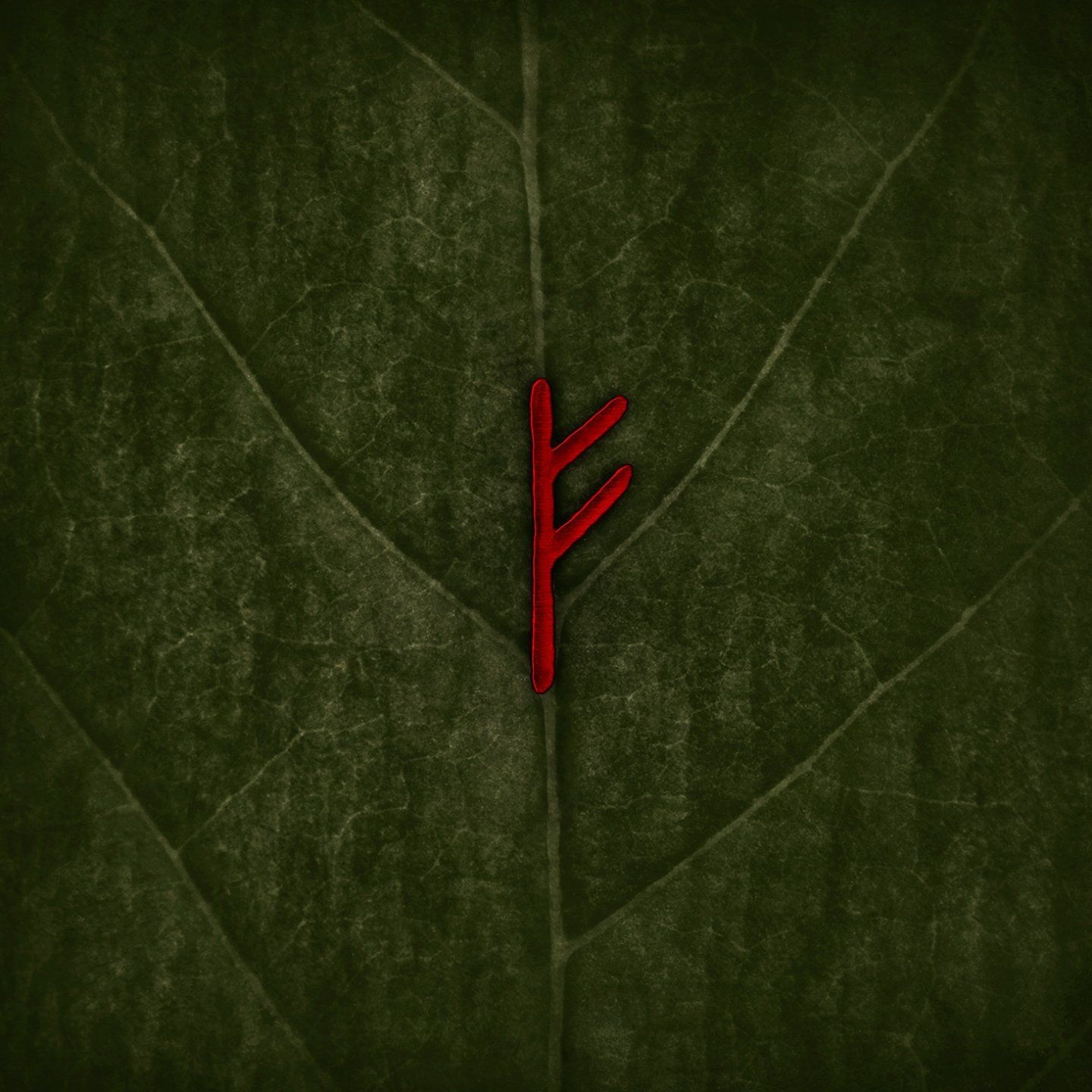 Fehu Wallpapers - Top Free Fehu Backgrounds - WallpaperAccess