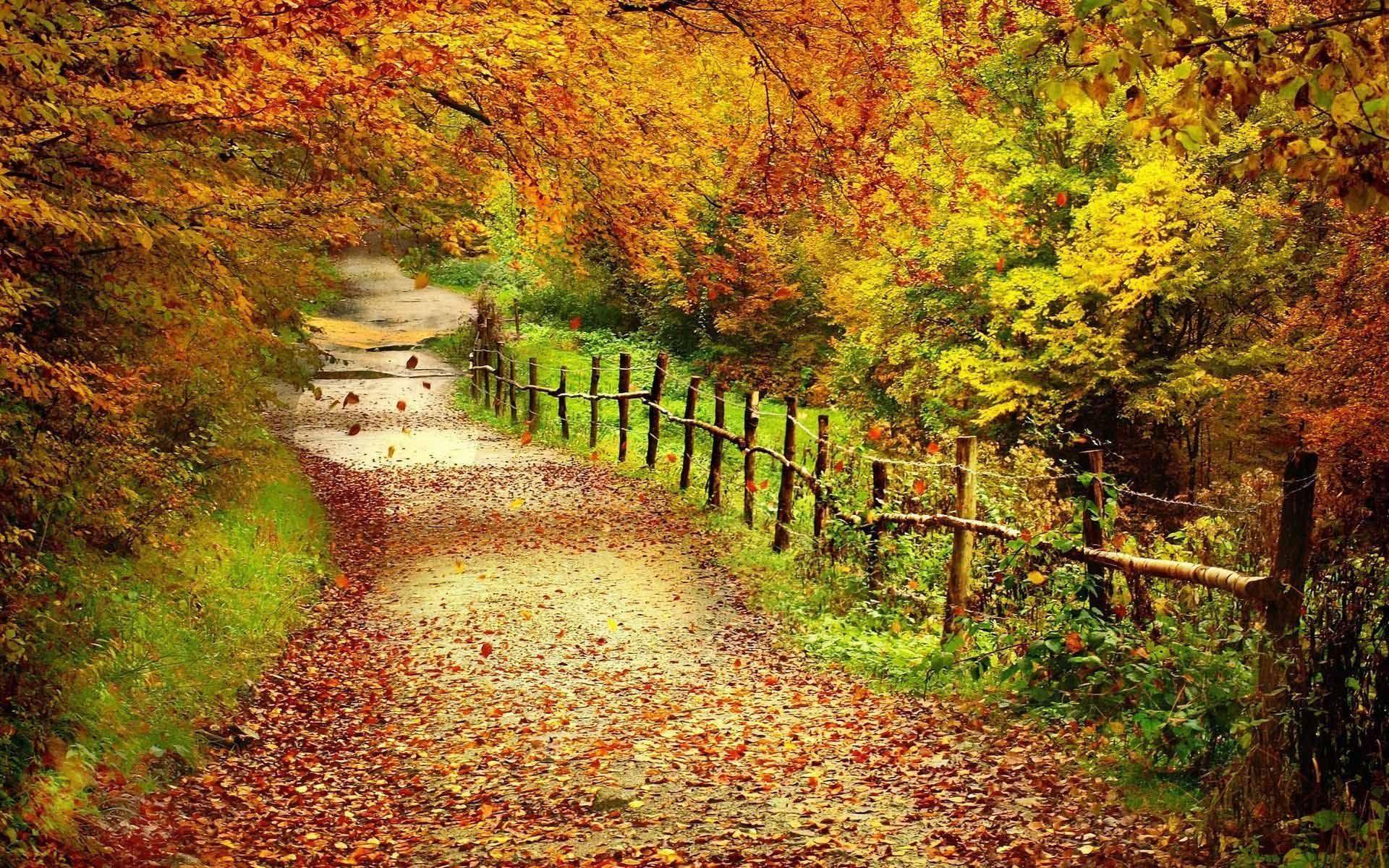 Scenic Autumn Desktop Wallpapers - Top Free Scenic Autumn Desktop ...