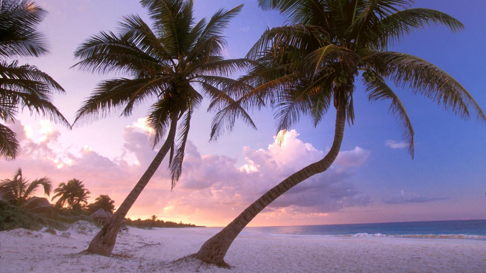 Cancun Beach Desktop Wallpapers - Top Free Cancun Beach Desktop ...