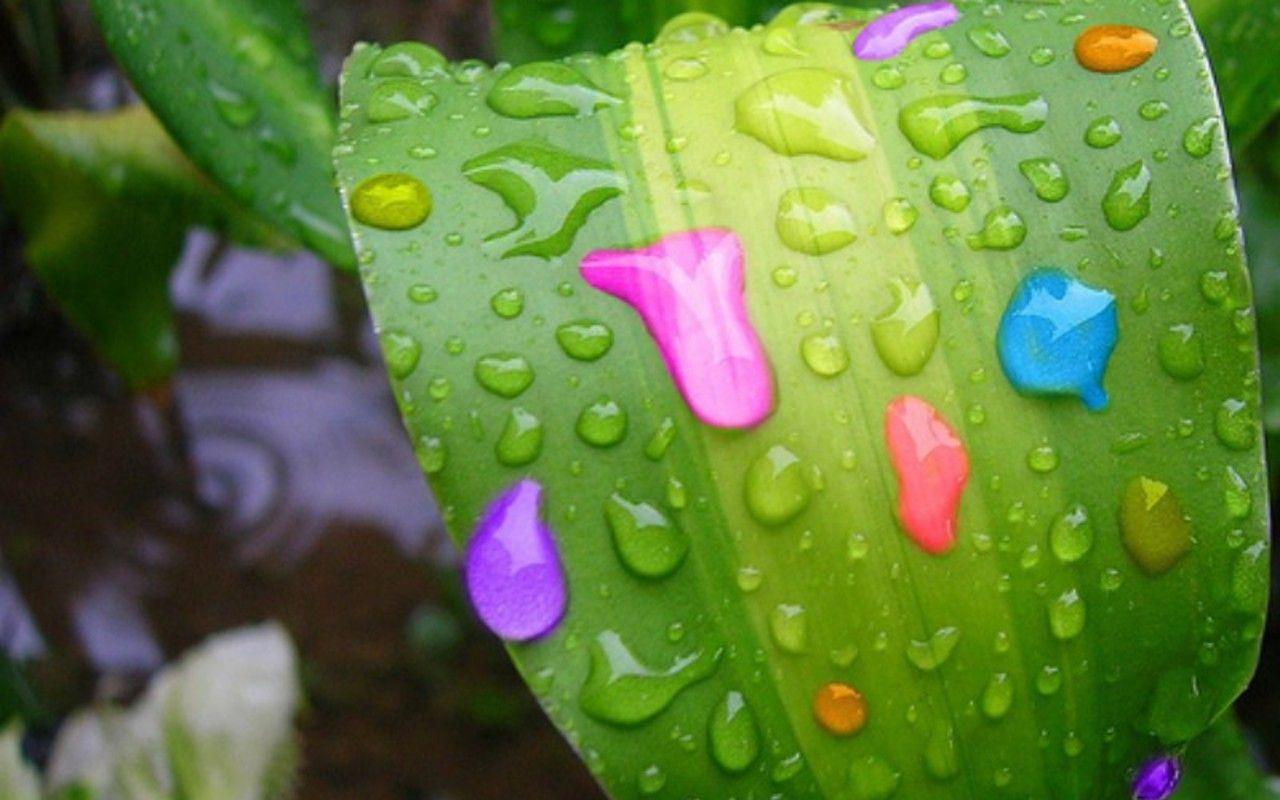Colorful Rain Wallpapers - Top Free Colorful Rain Backgrounds ...