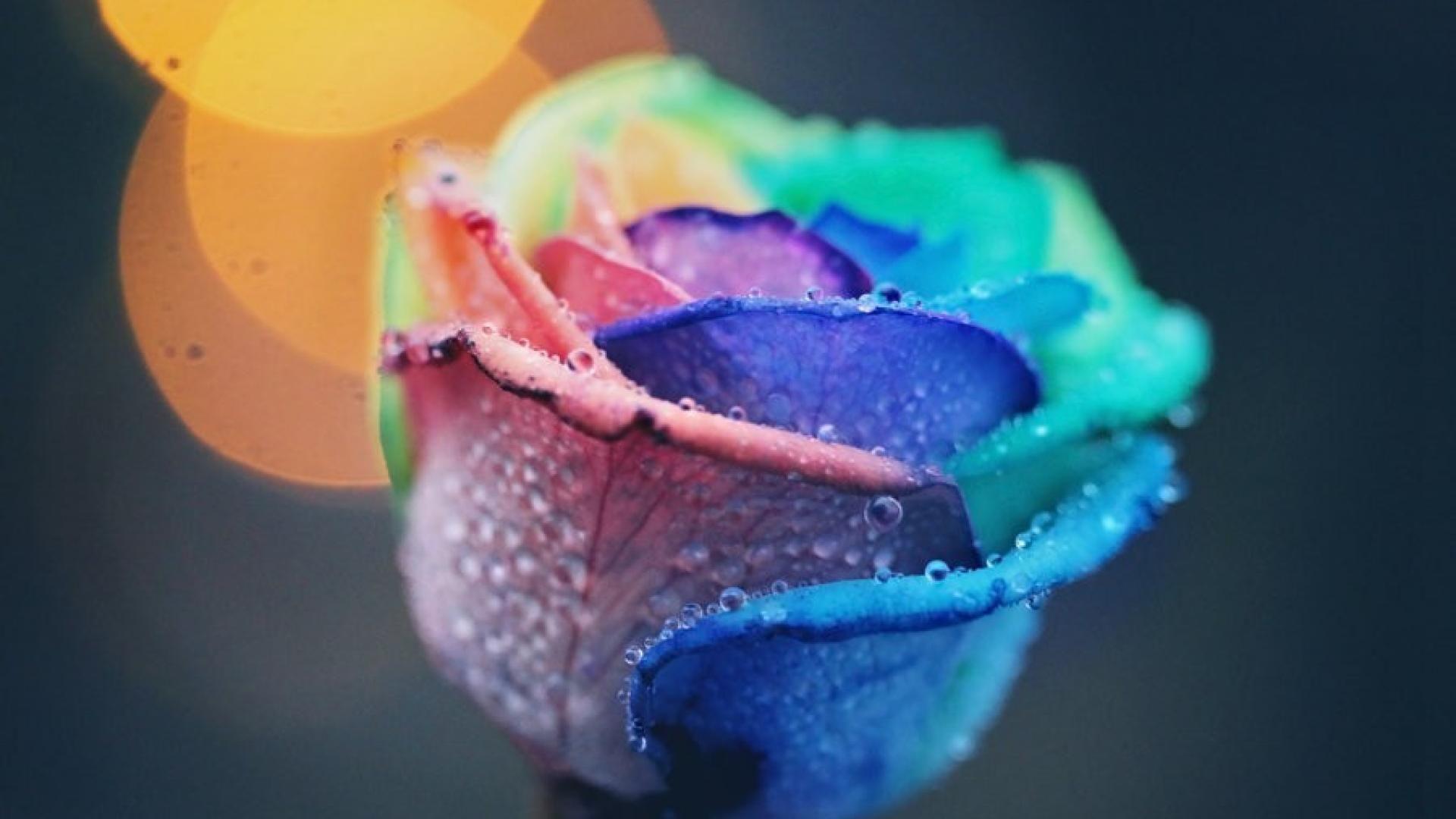 Colorful Rain Wallpapers - Top Free Colorful Rain Backgrounds ...