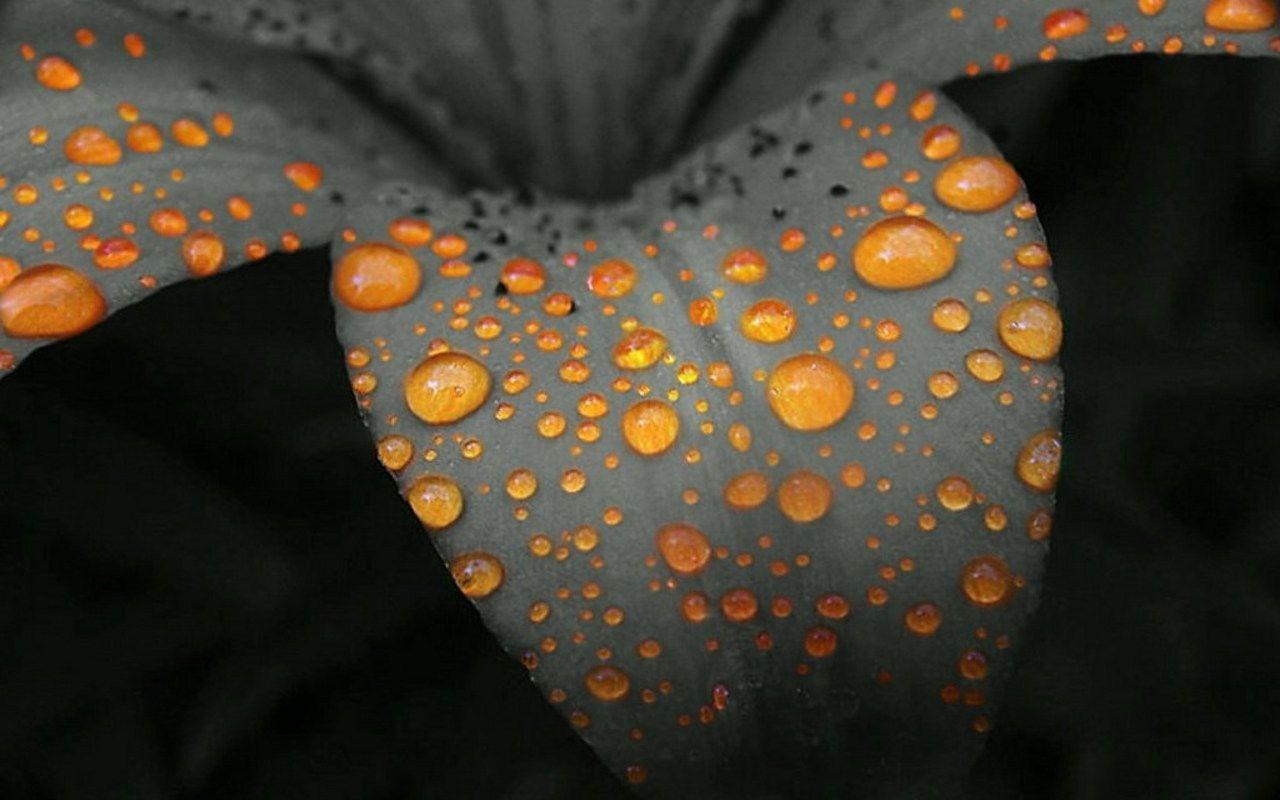 Colorful Rain Wallpapers - Top Free Colorful Rain Backgrounds ...