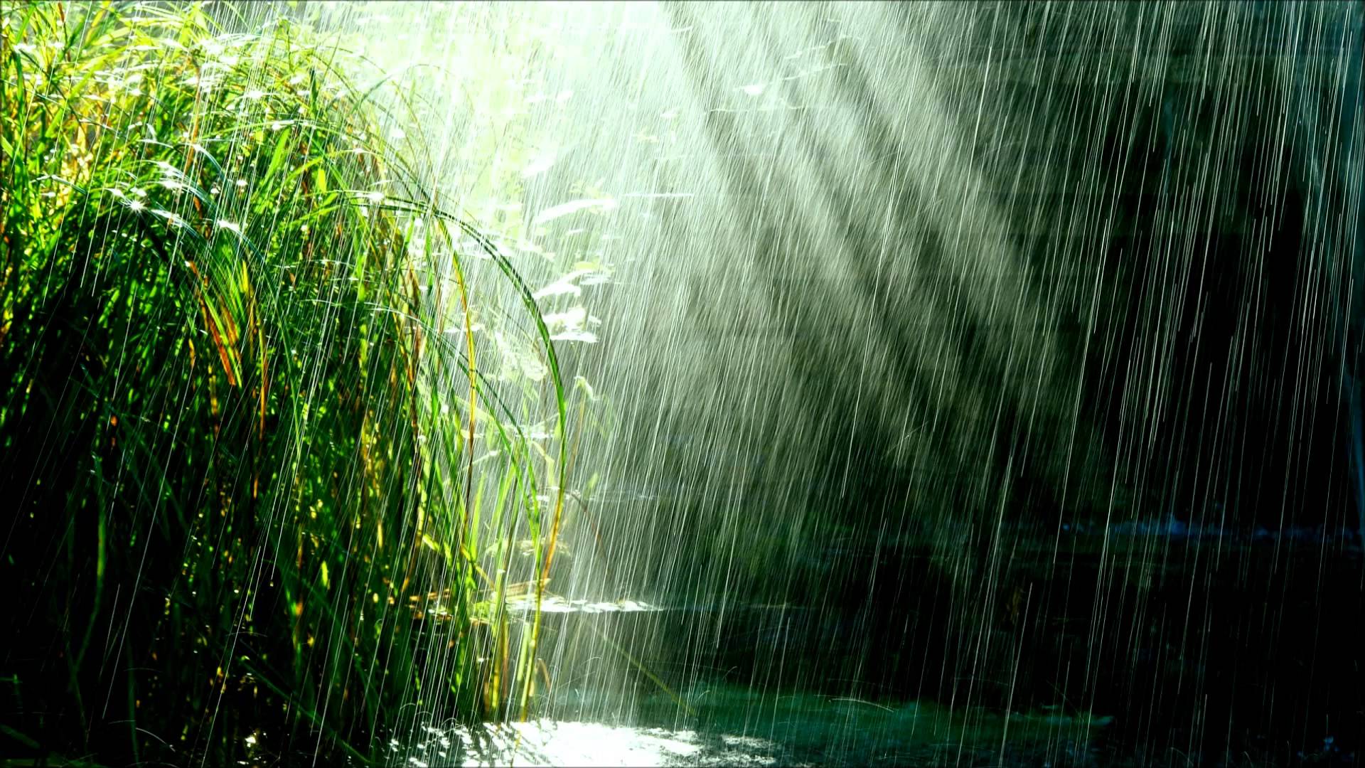 Rain Storm Wallpapers - Top Free Rain Storm Backgrounds - WallpaperAccess