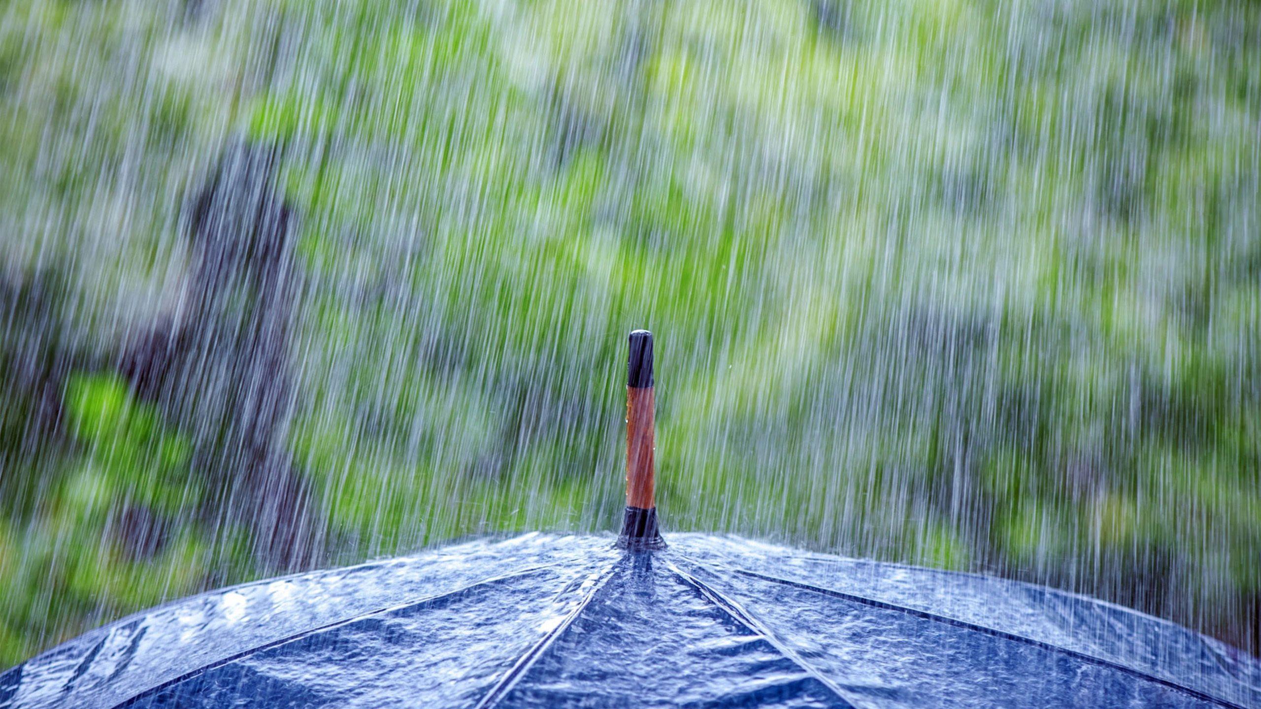 Summer Rain Desktop Wallpapers - Top Free Summer Rain Desktop ...
