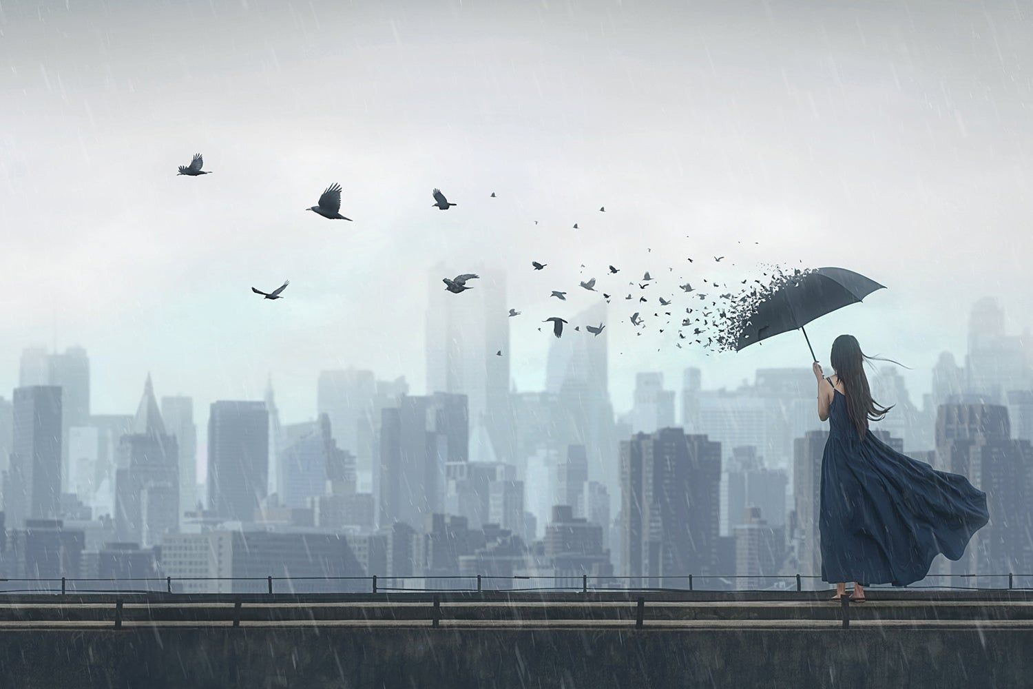 Fly Away Wallpapers - Top Free Fly Away Backgrounds - WallpaperAccess