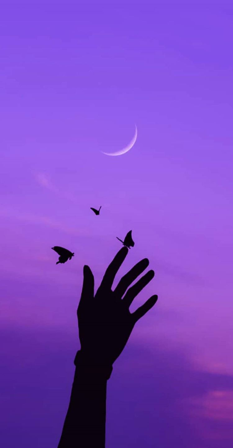 Fly Away Wallpapers - Top Free Fly Away Backgrounds - WallpaperAccess