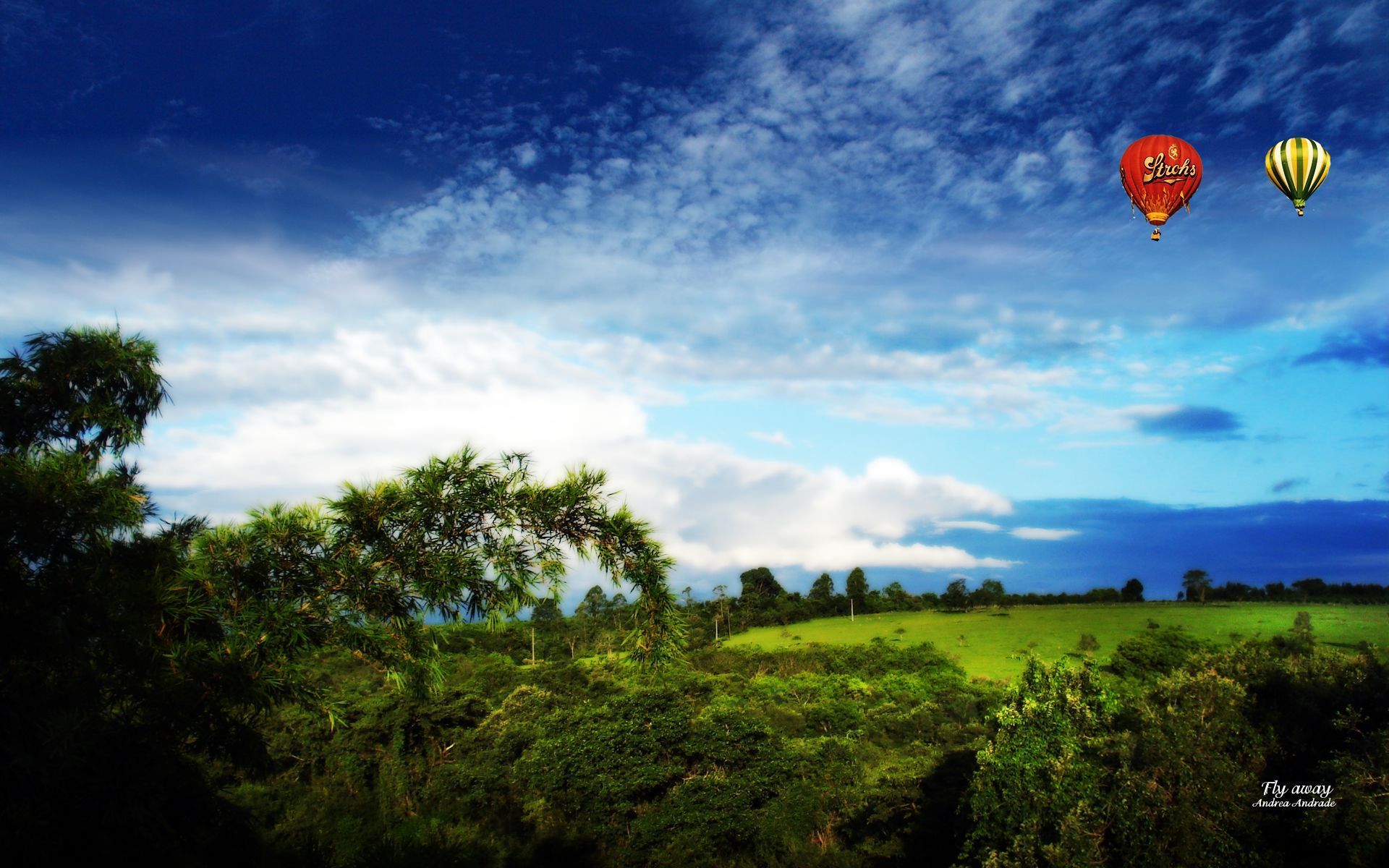 Fly Away Wallpapers - Top Free Fly Away Backgrounds - WallpaperAccess