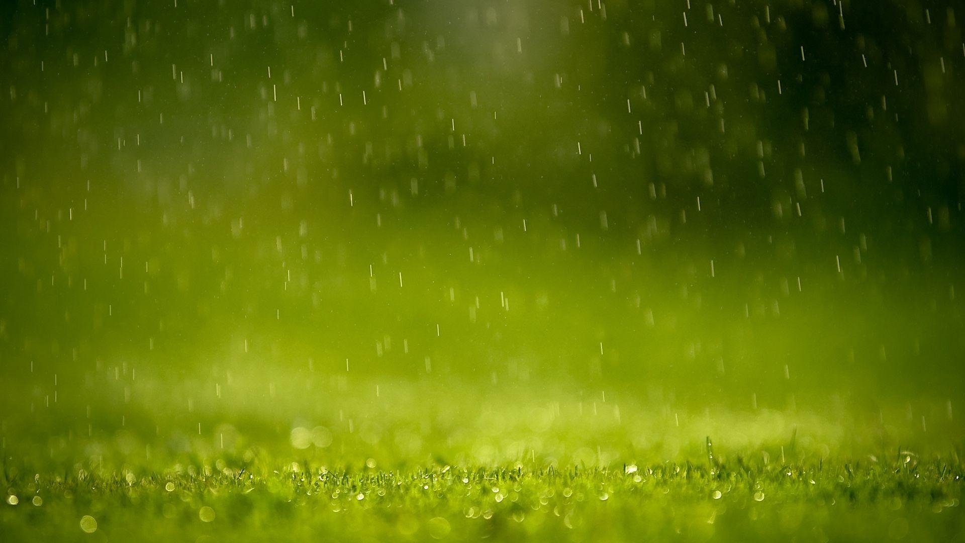 Summer Rain Desktop Wallpapers - Top Free Summer Rain Desktop ...