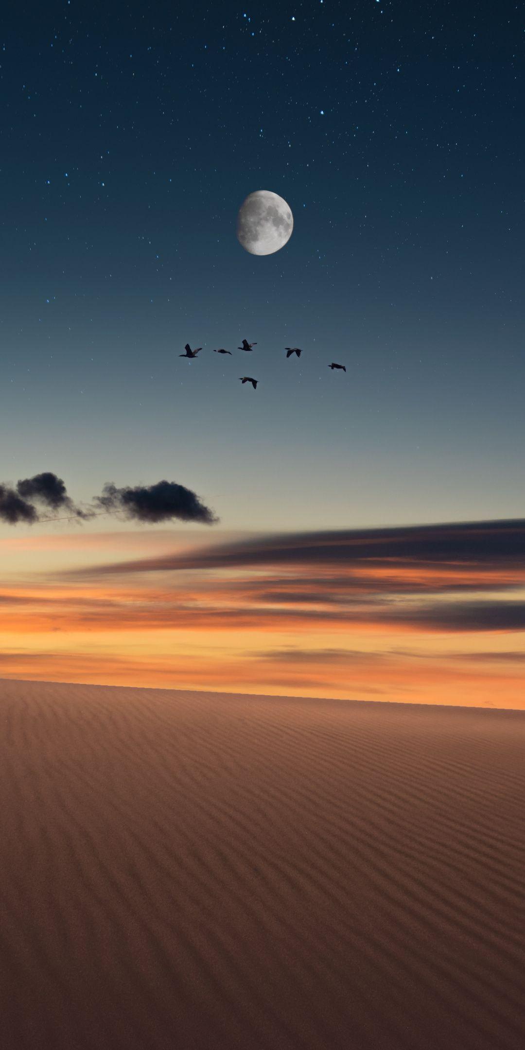 Desert Moon Wallpapers - Top Free Desert Moon Backgrounds - WallpaperAccess